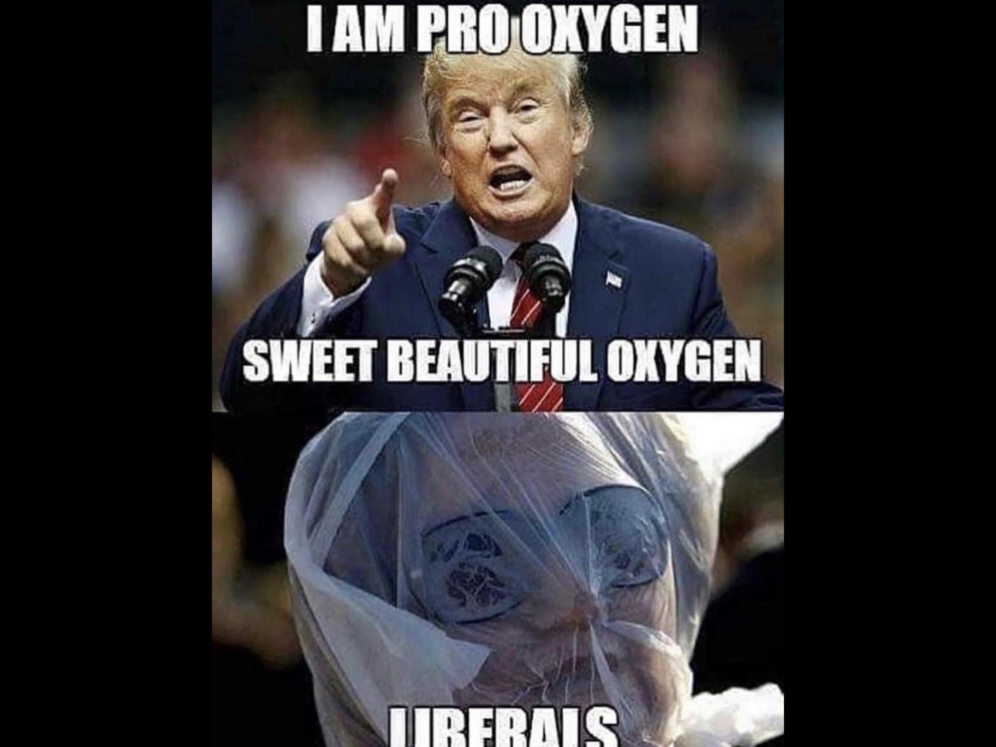 Libtards owned | Scrolller