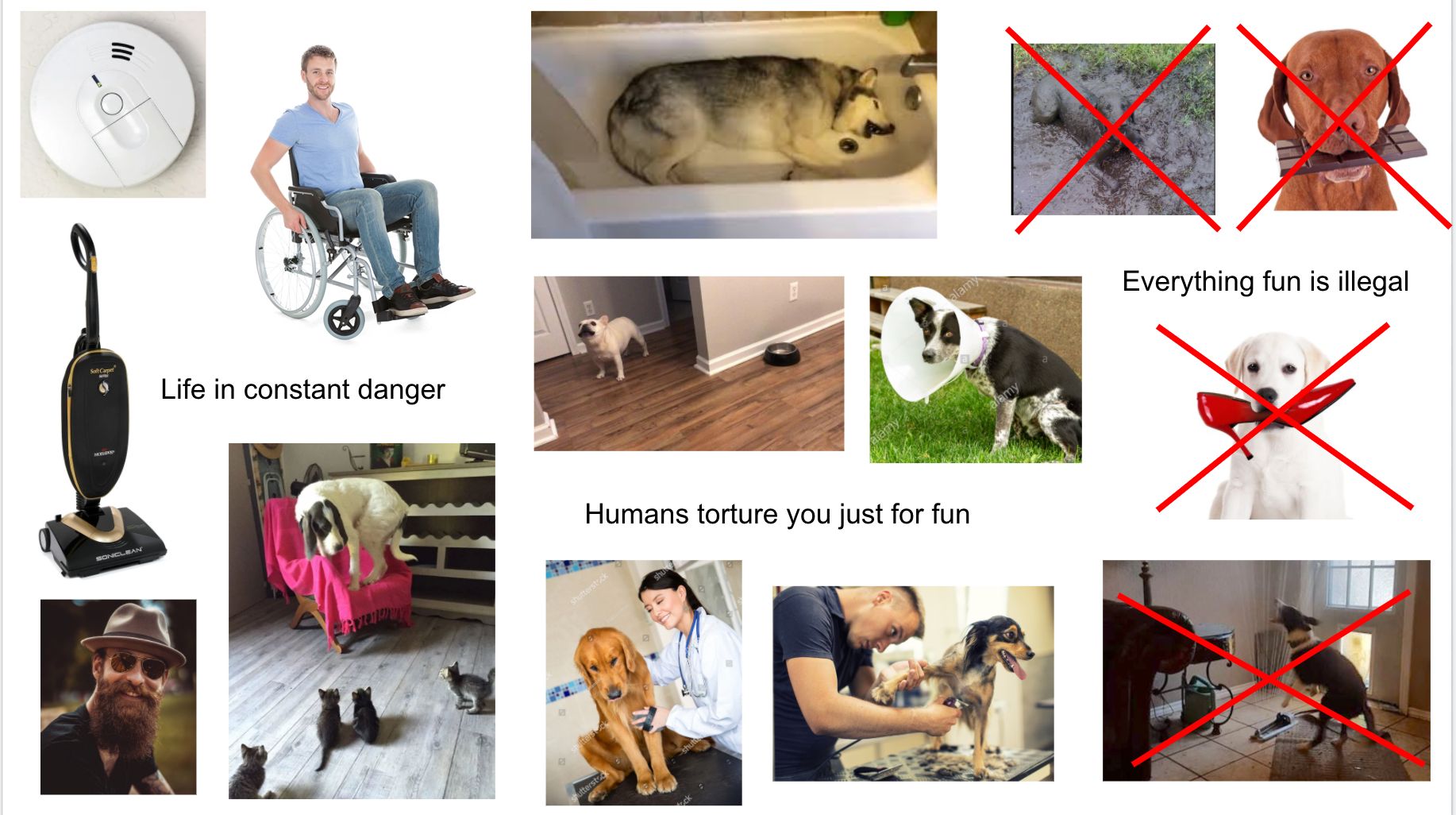 Life is ruff starterpack | Scrolller
