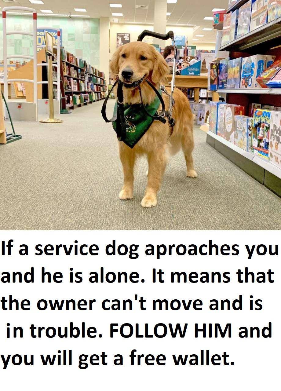 Life Pro Tip | Scrolller