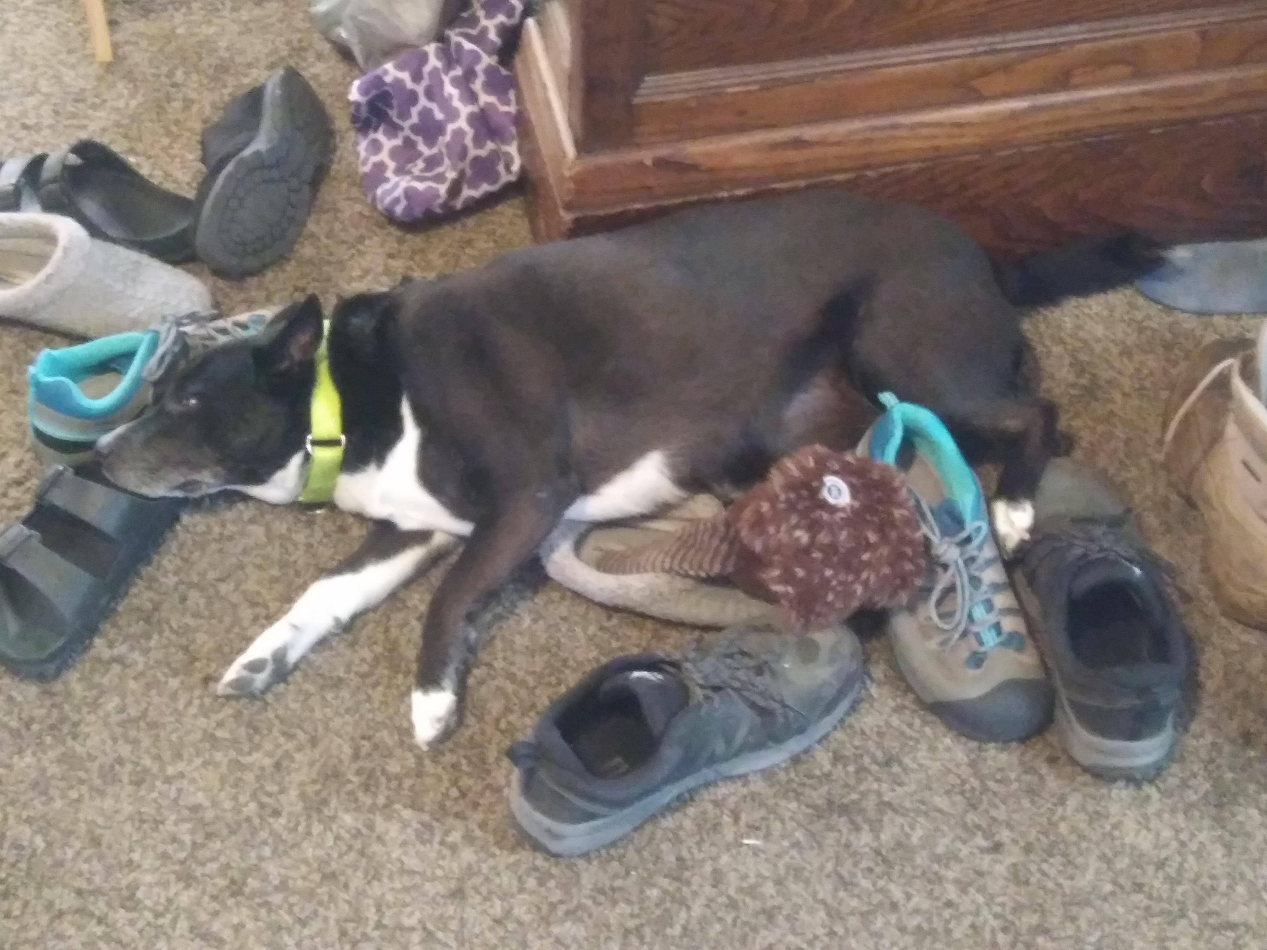 Like a dragon hoarding her treasure | Scrolller