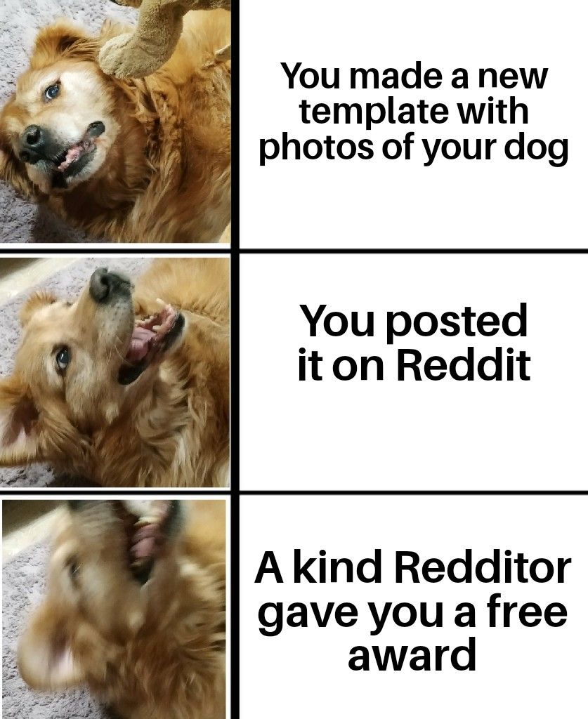 Like that's ever gonna happen. | Scrolller