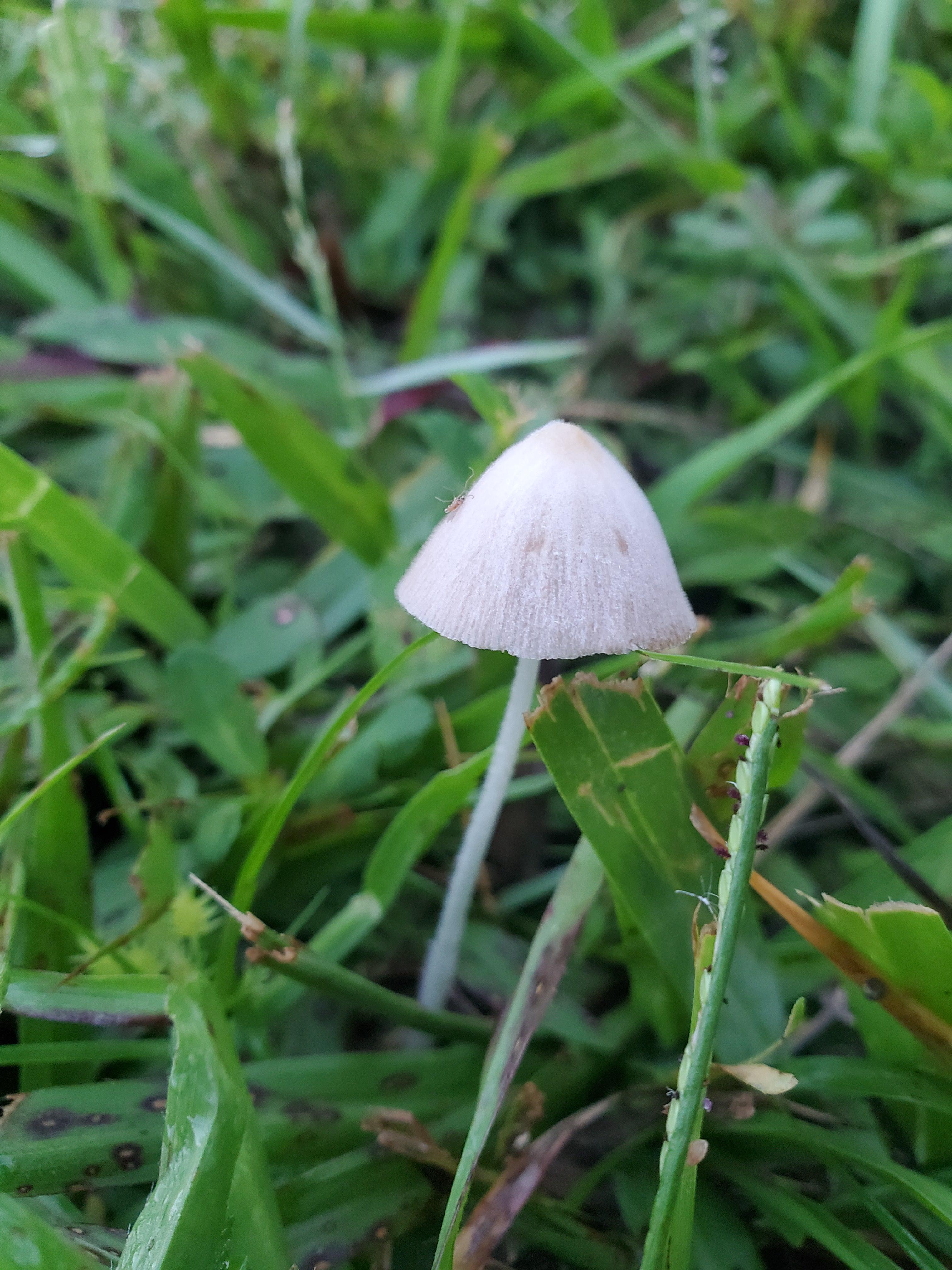 Lil Guy In My Yard This Morning Scrolller