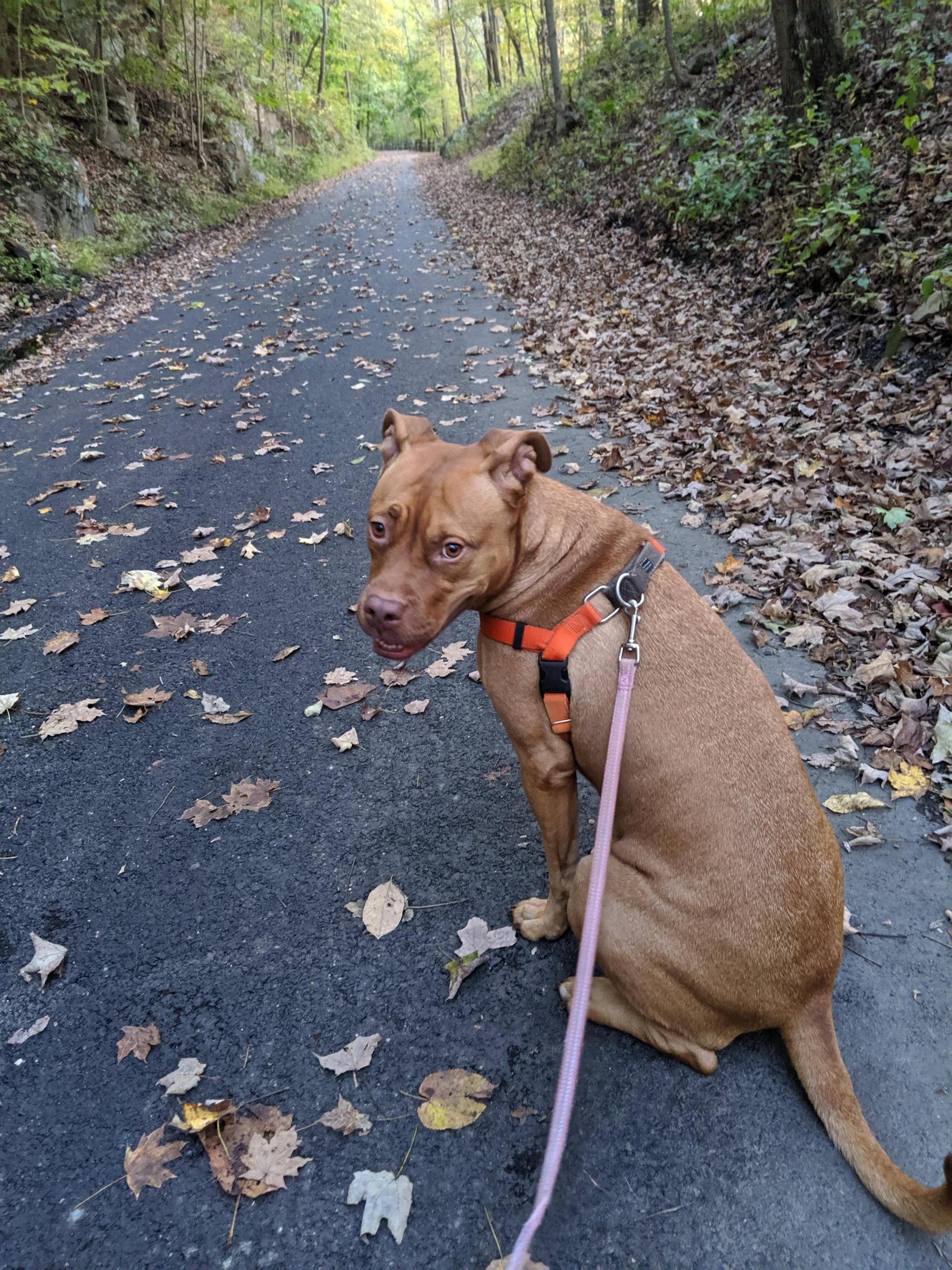 Lilly owns this trail... | Scrolller