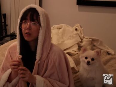 Lily looks clueless and Temmie is cute. | Scrolller