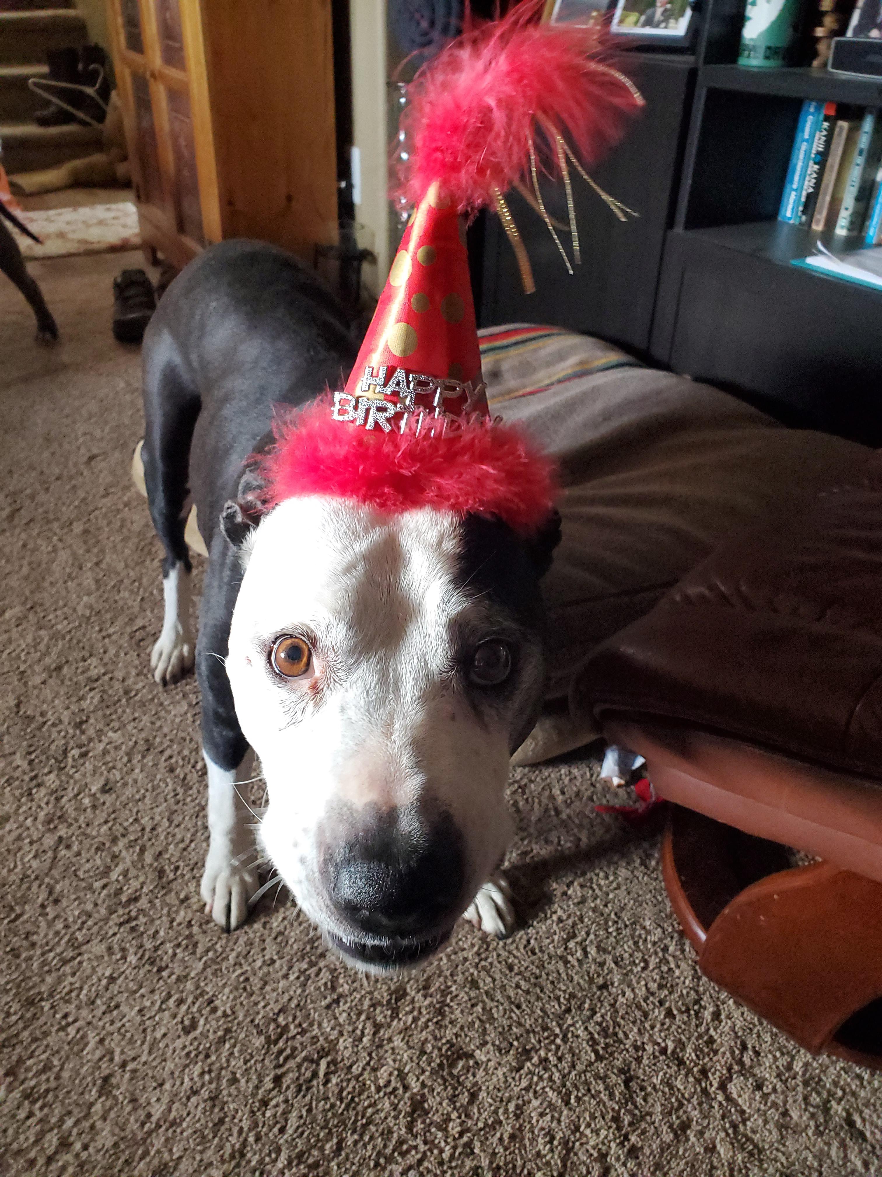 Lily turned 15 yesterday! | Scrolller