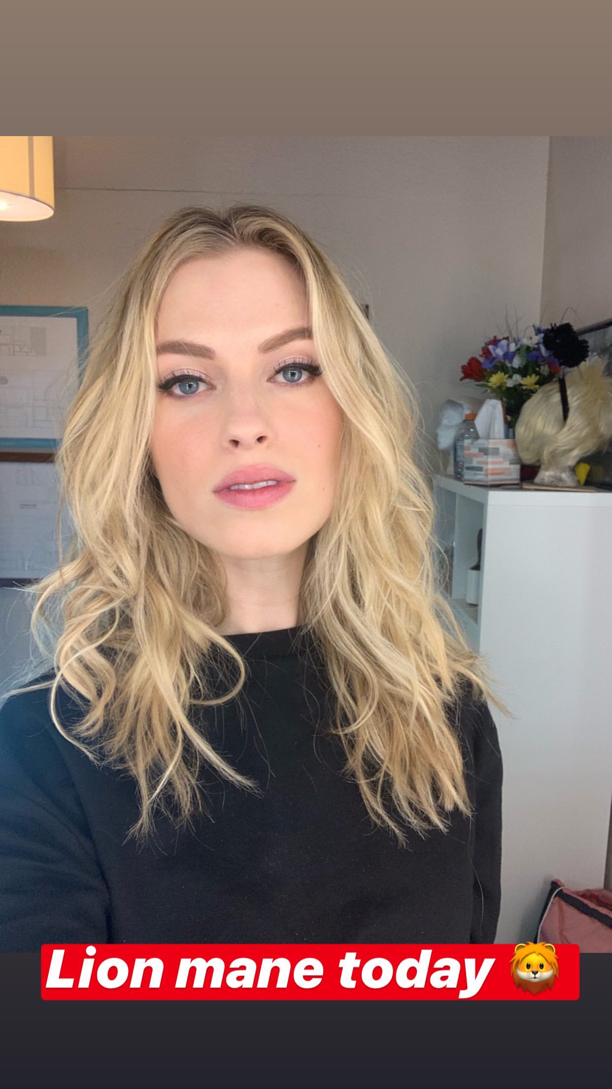 Lion Maine today | Scrolller