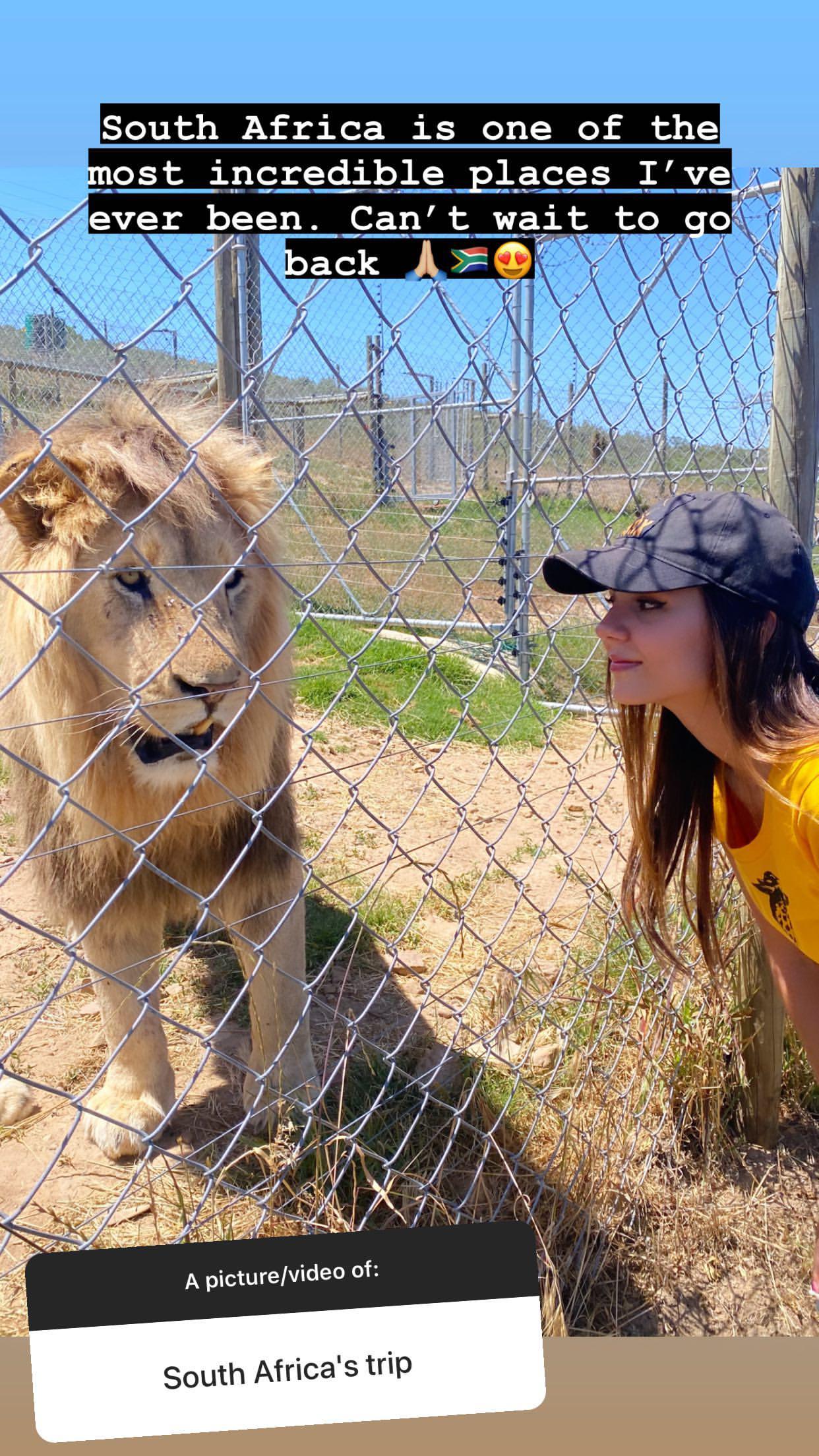 Lion Queen | Scrolller