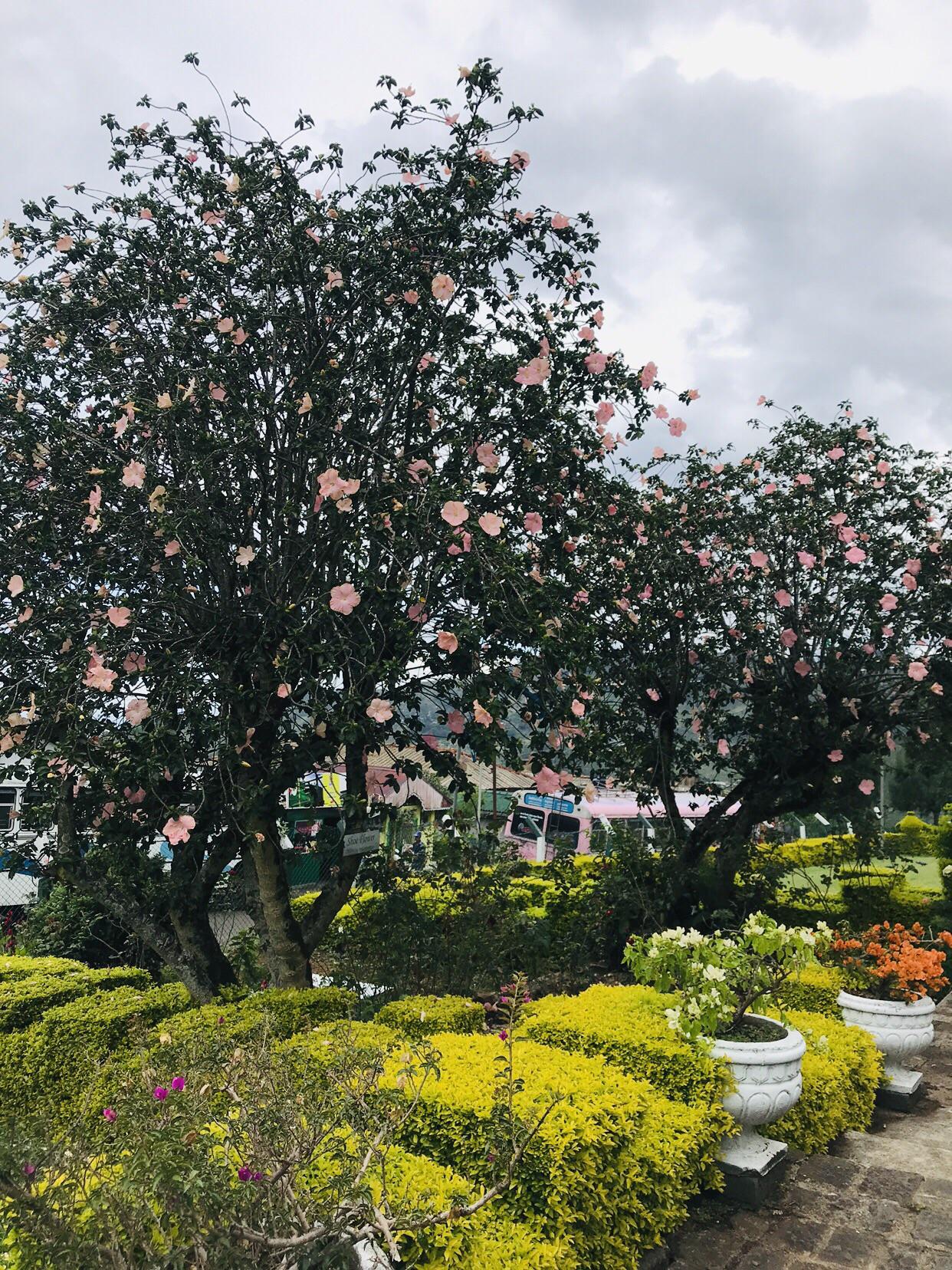 Lipton's Seat | Scrolller