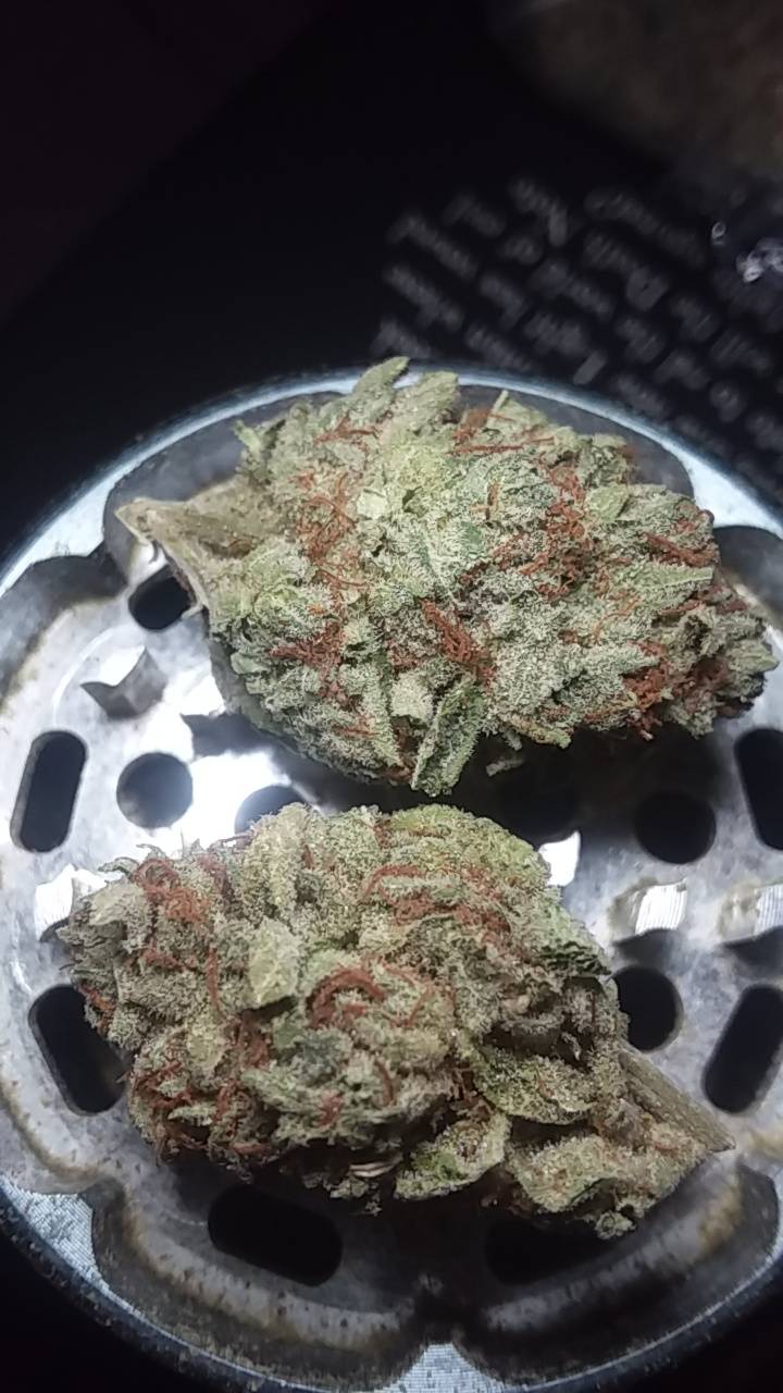 Little bit of OG | Scrolller