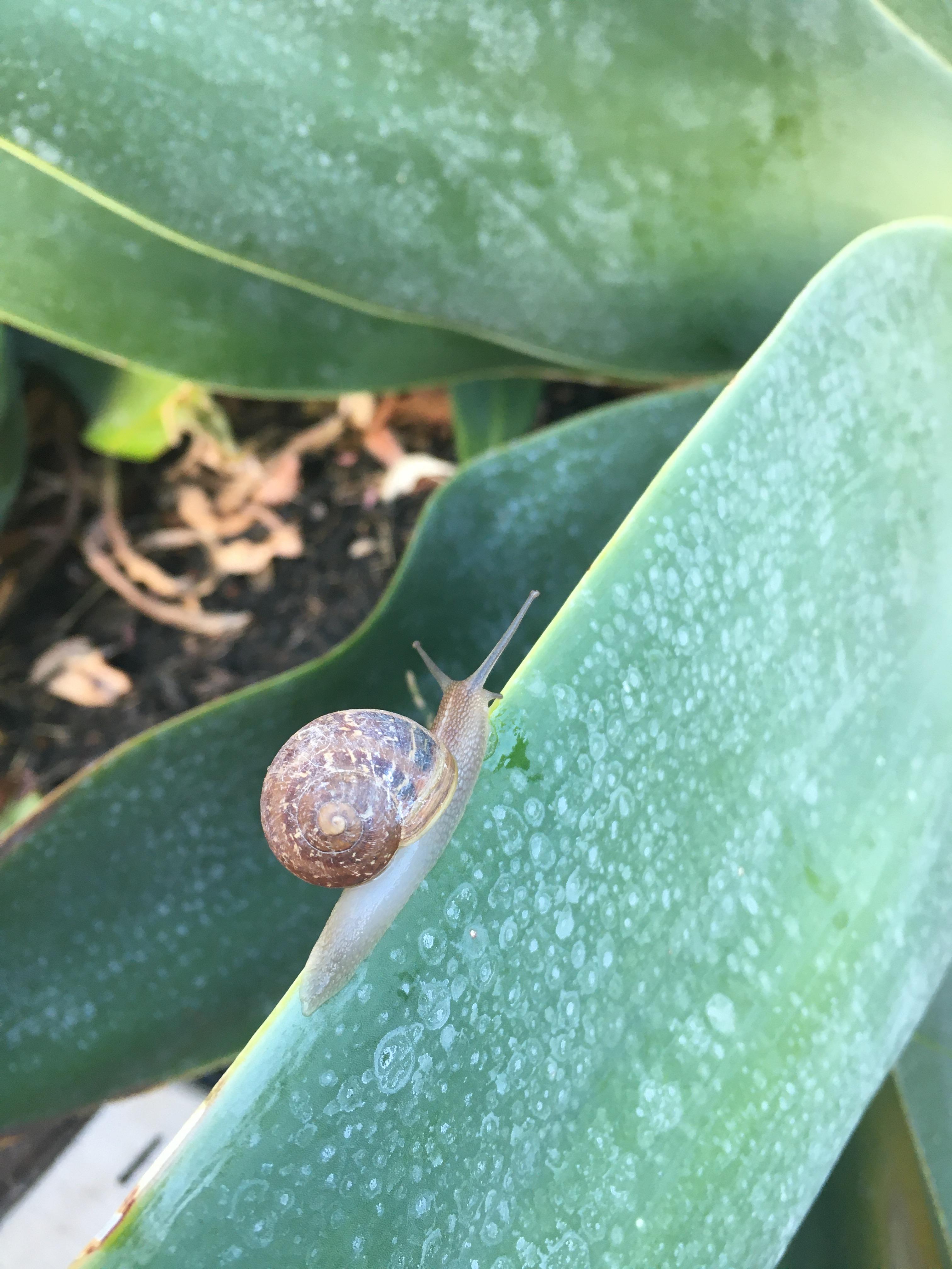 Little dude doin’ a crawl. | Scrolller
