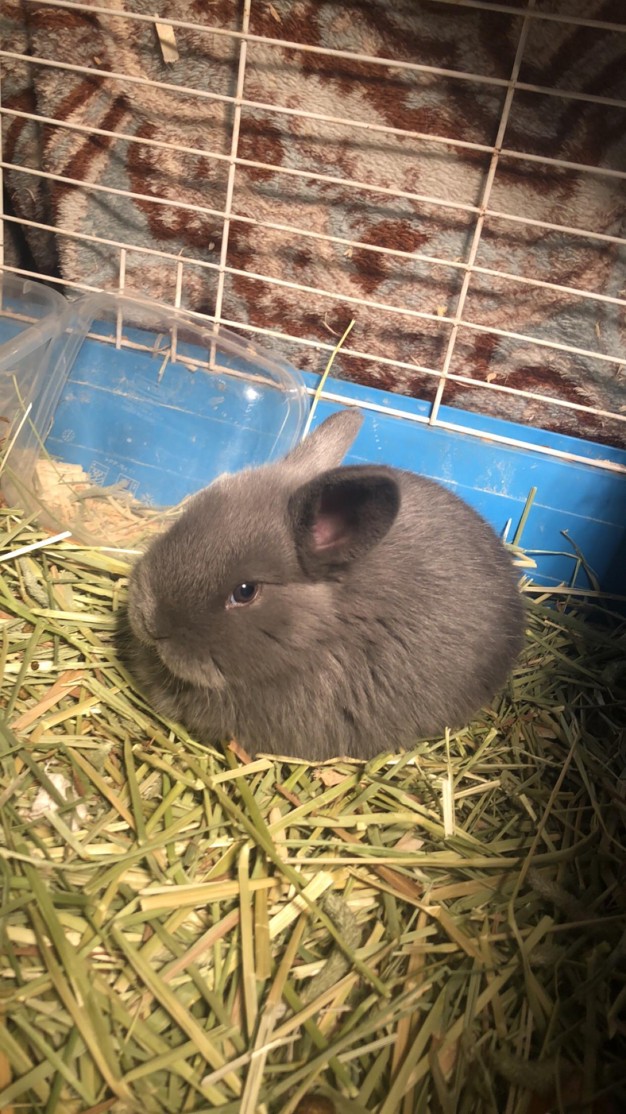 Little loaf | Scrolller