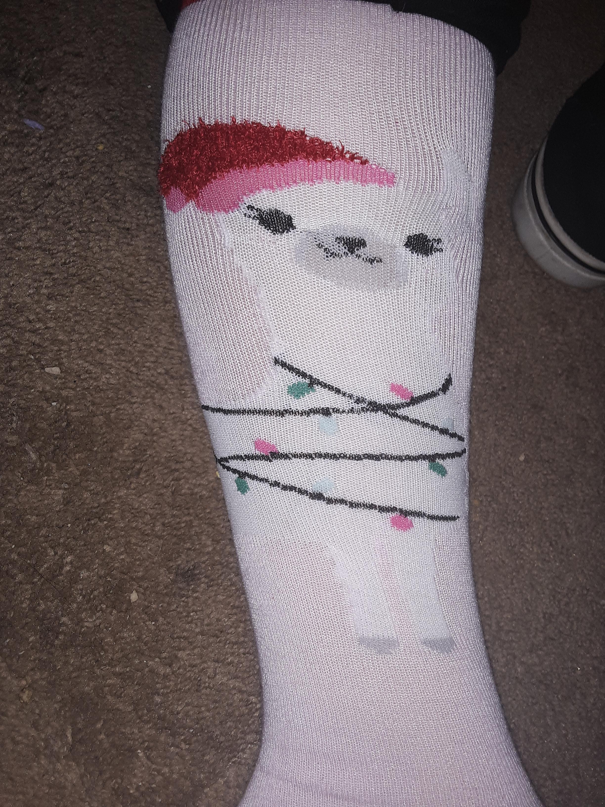 Llama Socks | Scrolller