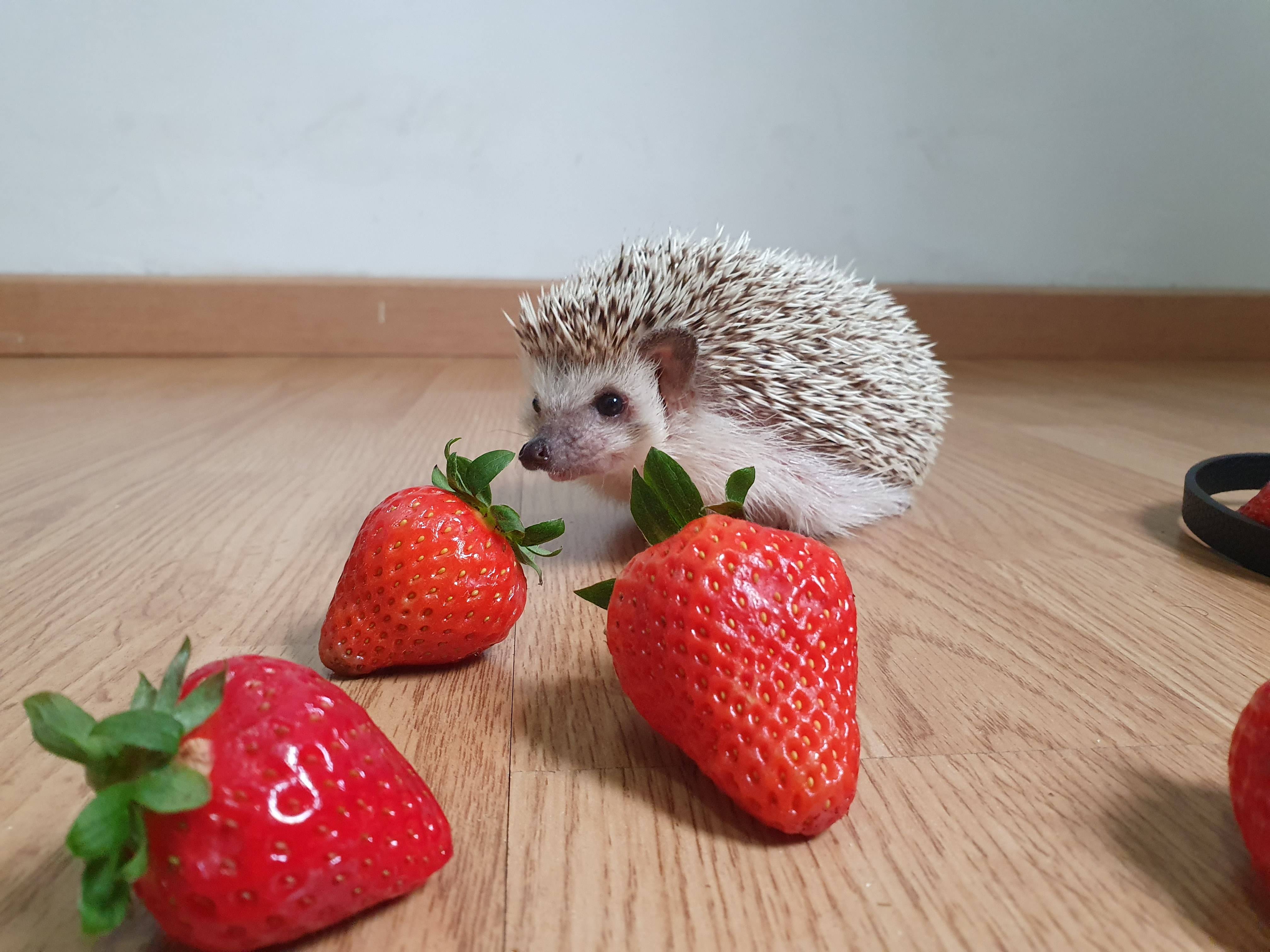 Locked down but looking fine as hell. | Scrolller