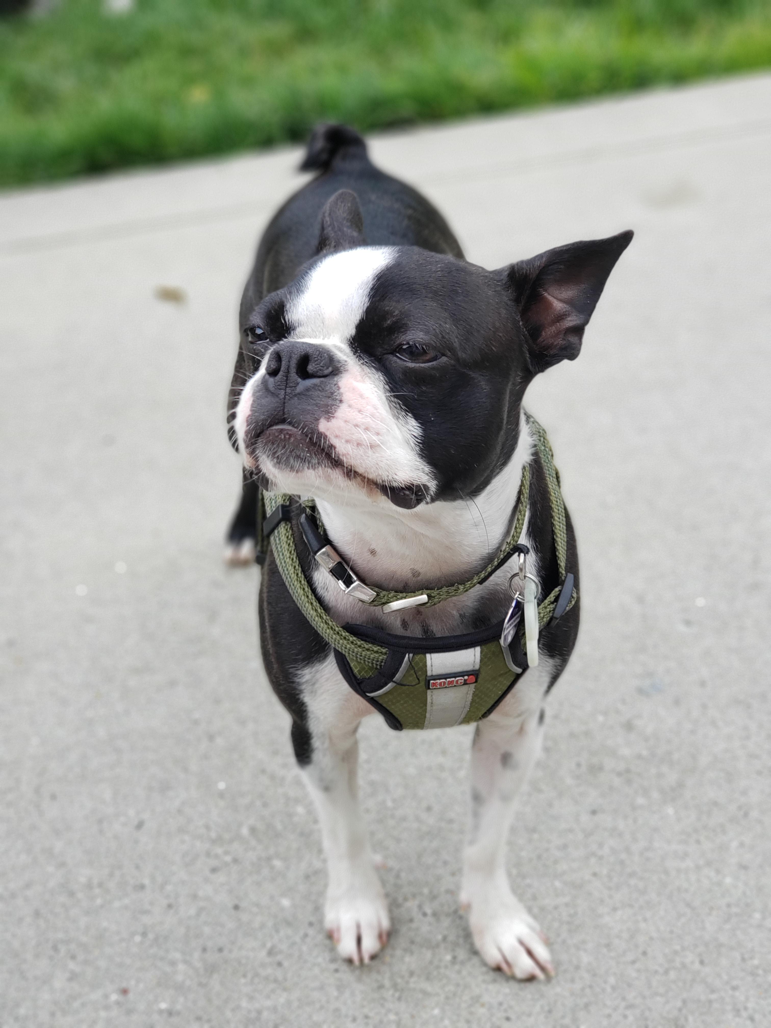 Lola Wednesday checking in. | Scrolller