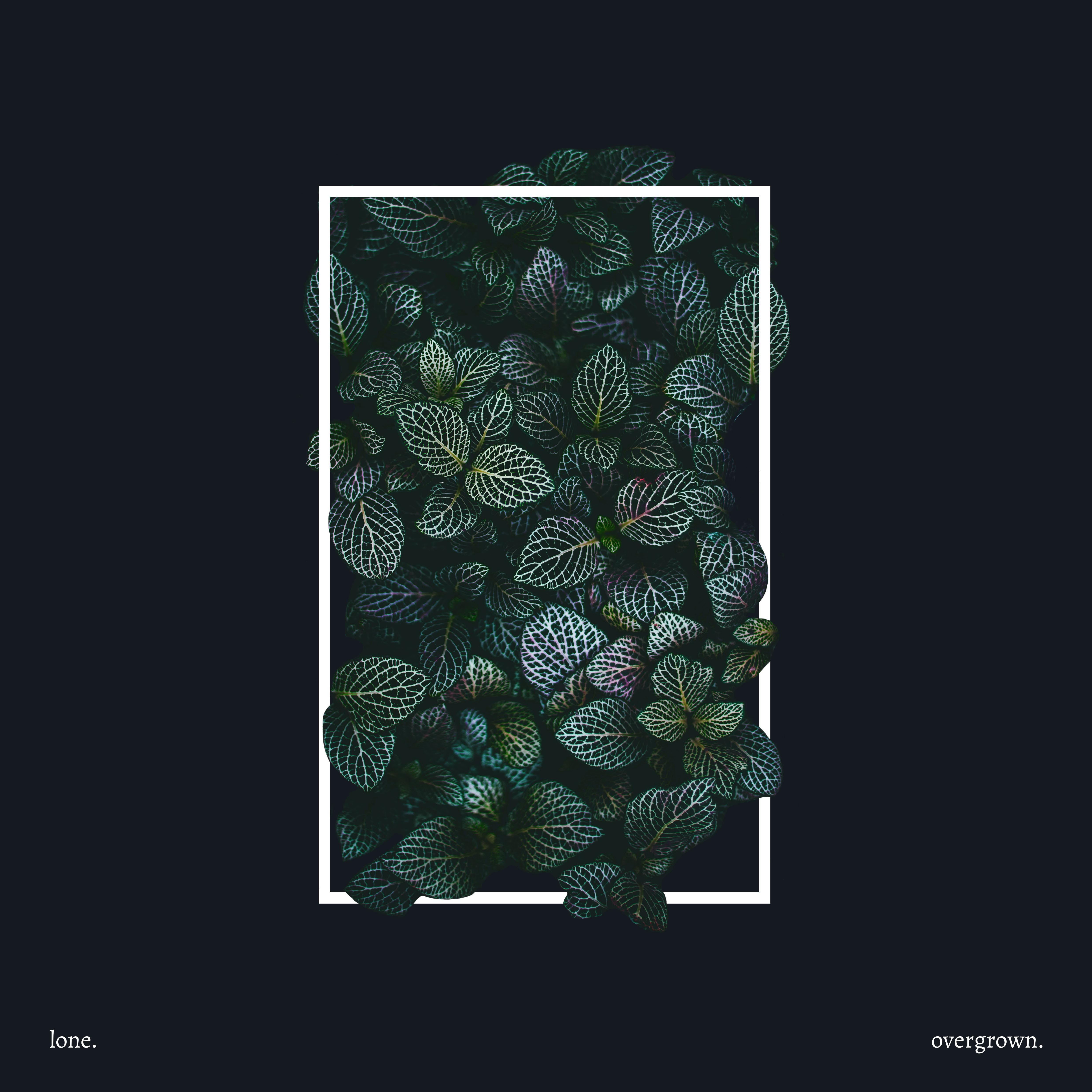 lone - overgrown | Scrolller