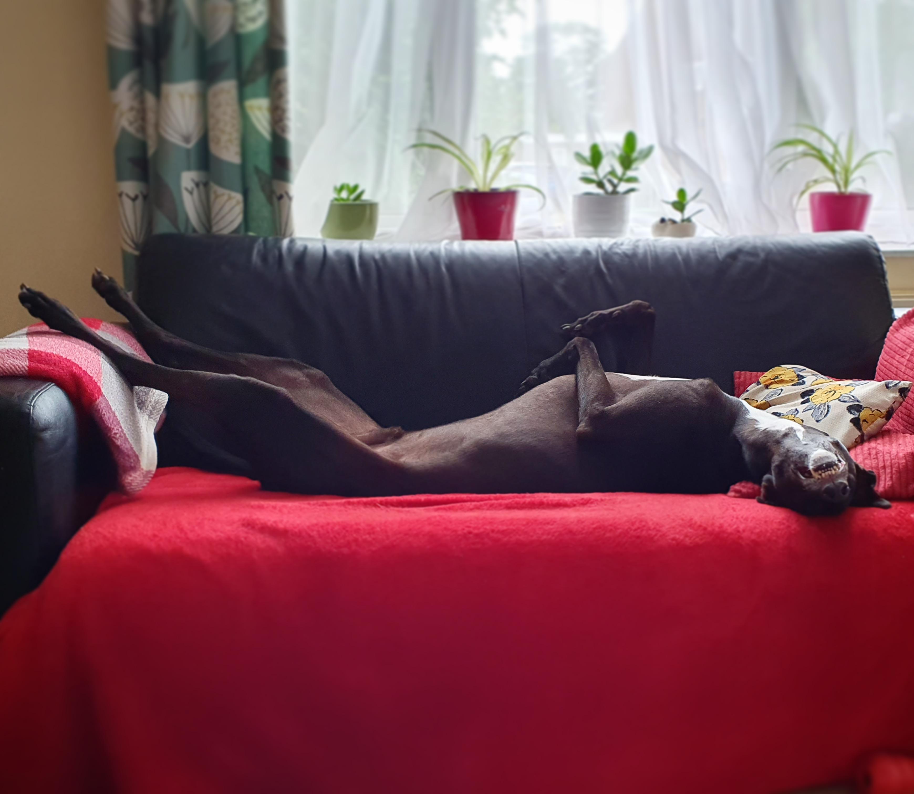 Long long boy | Scrolller