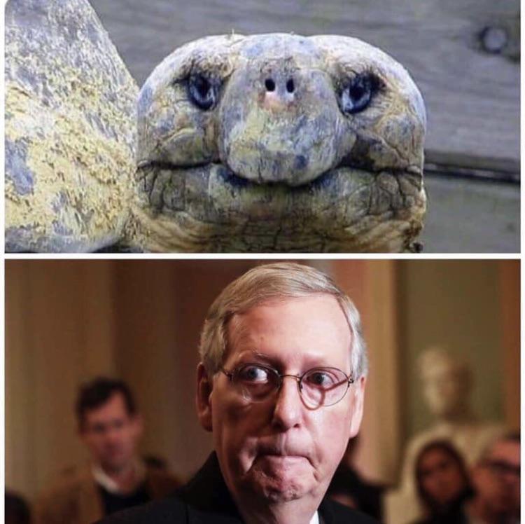 Long lost twin brother. | Scrolller