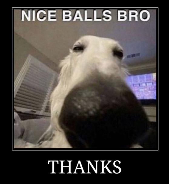 Long nose | Scrolller