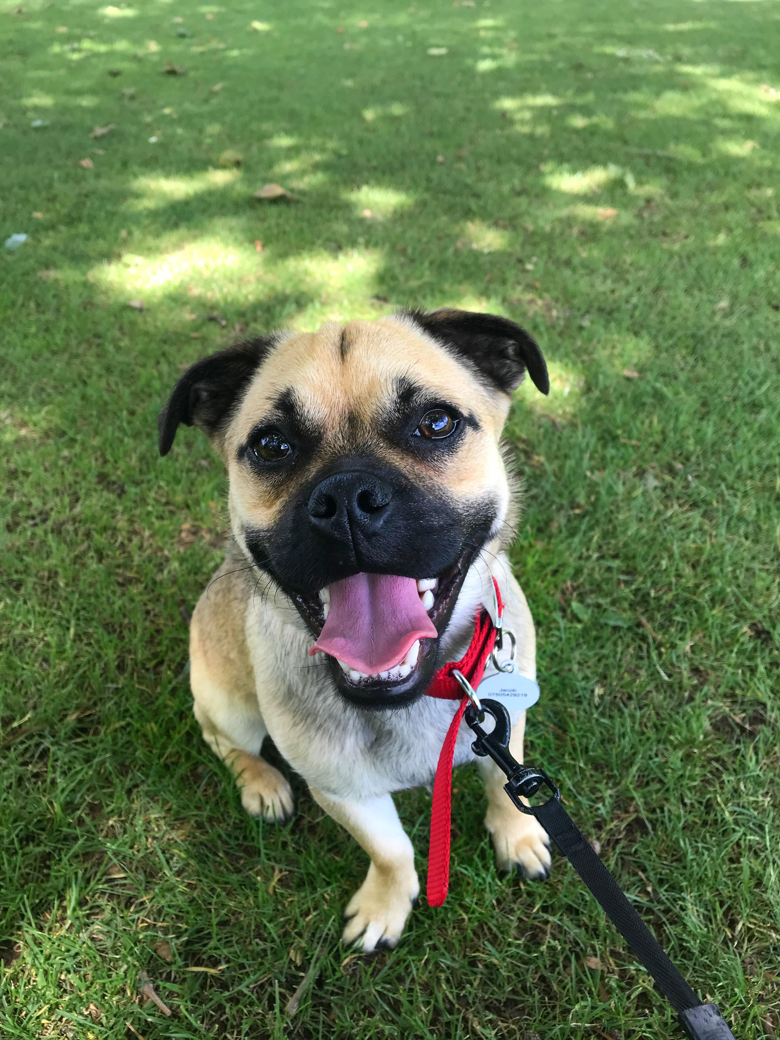 Look at my handsome boy! 😍 | Scrolller