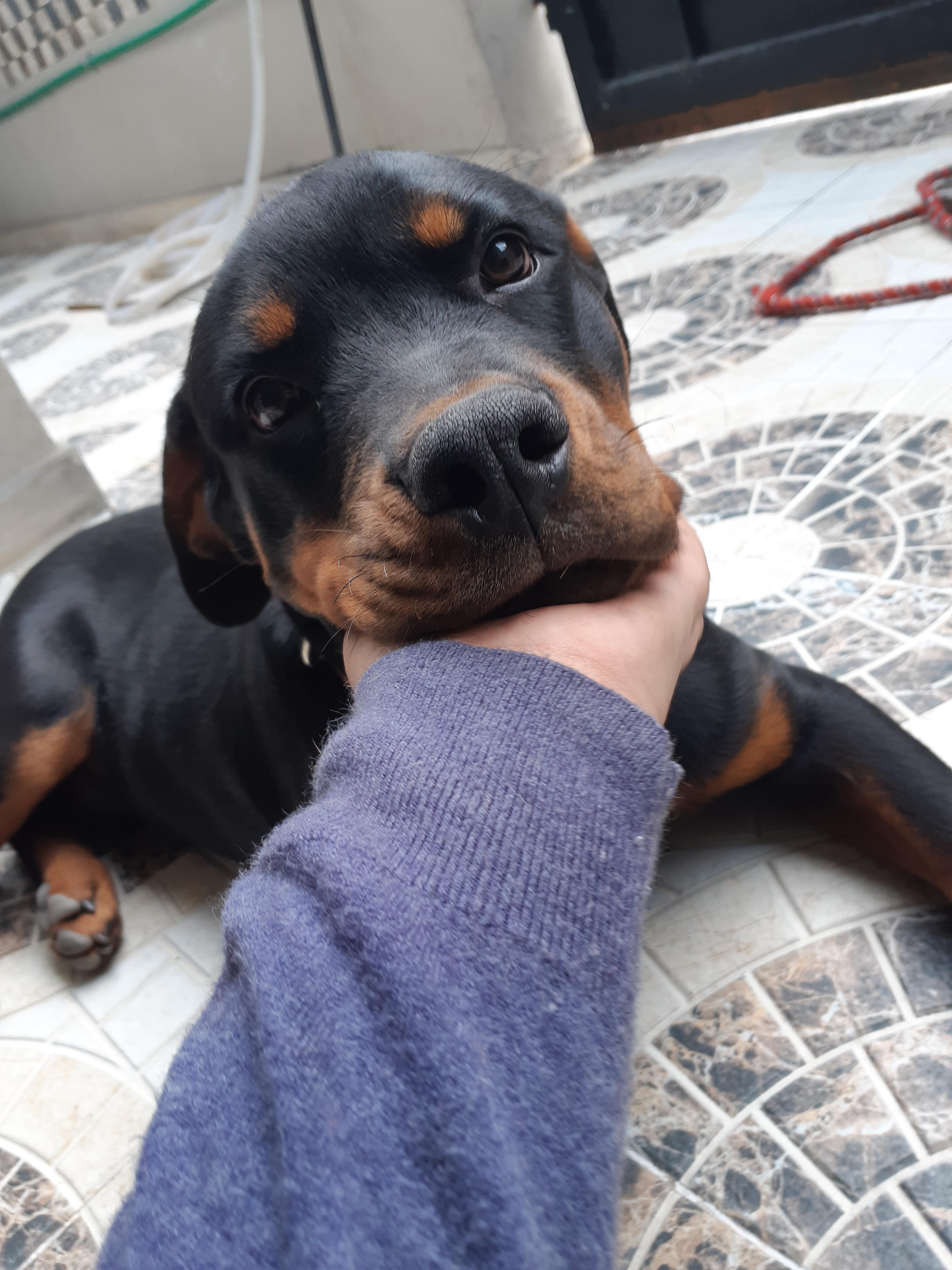 Look at this handsome boy | Scrolller