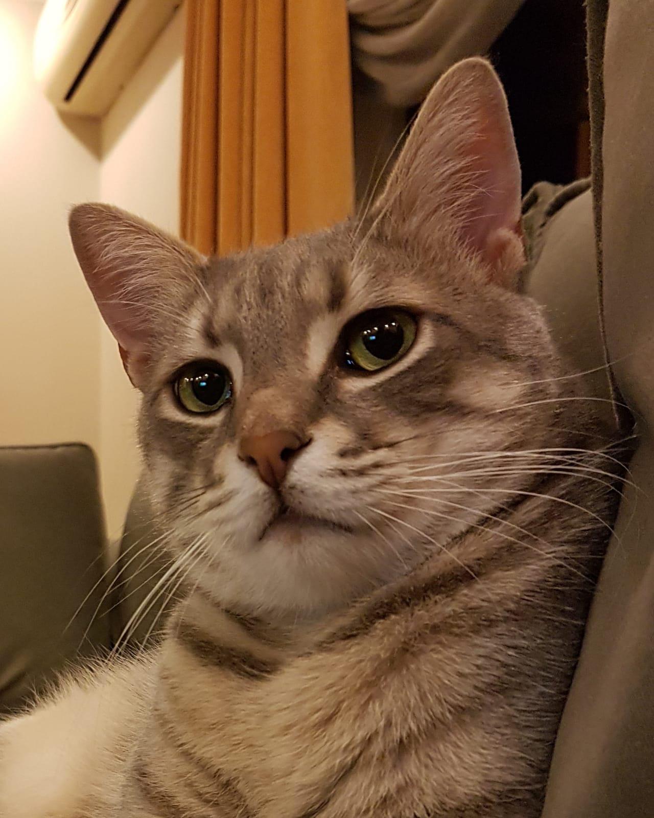 Look at this handsome boy | Scrolller