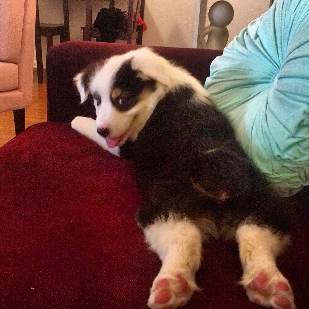 Look back at it | Scrolller