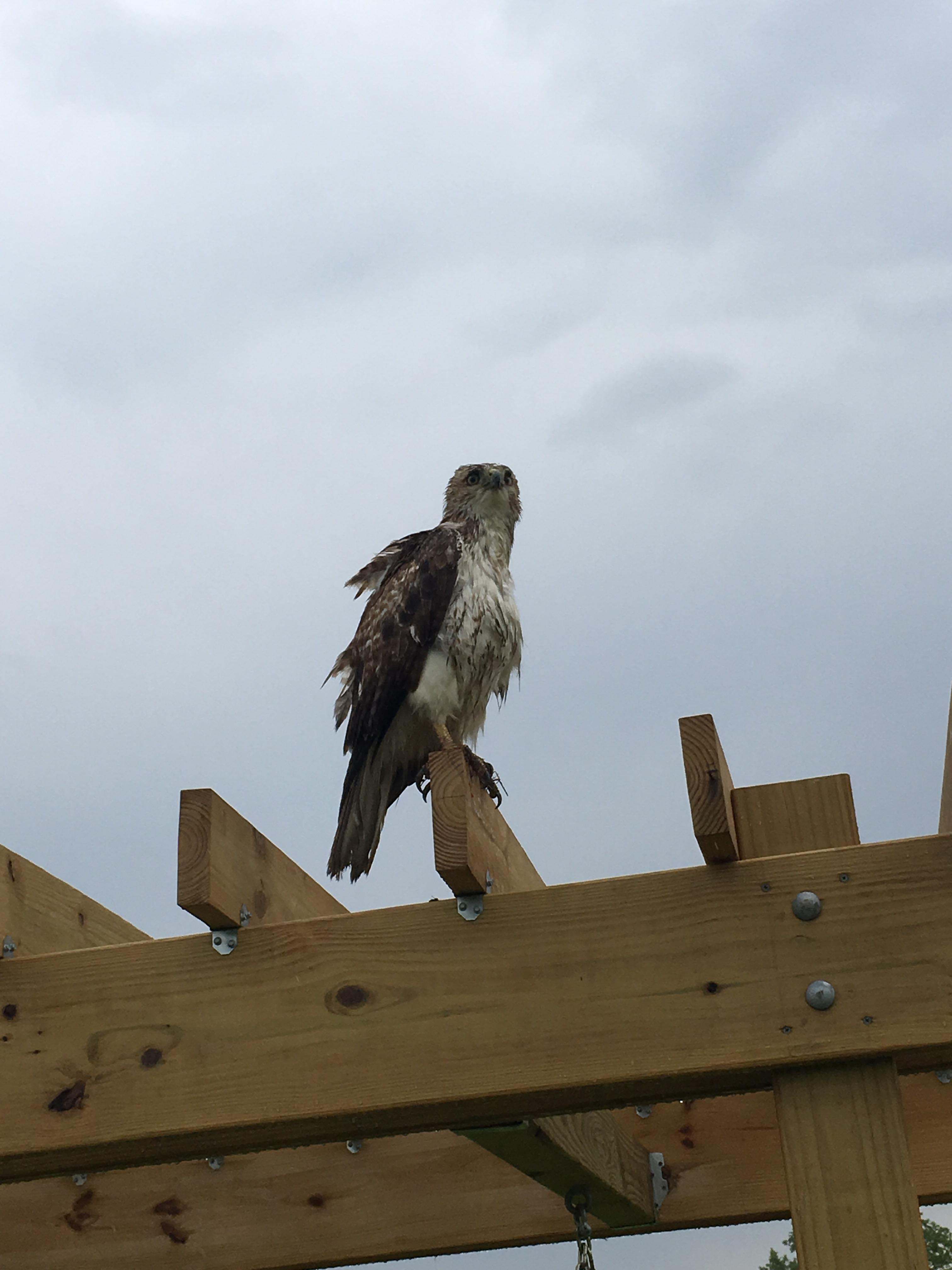 Look of concern or concentration? | Scrolller