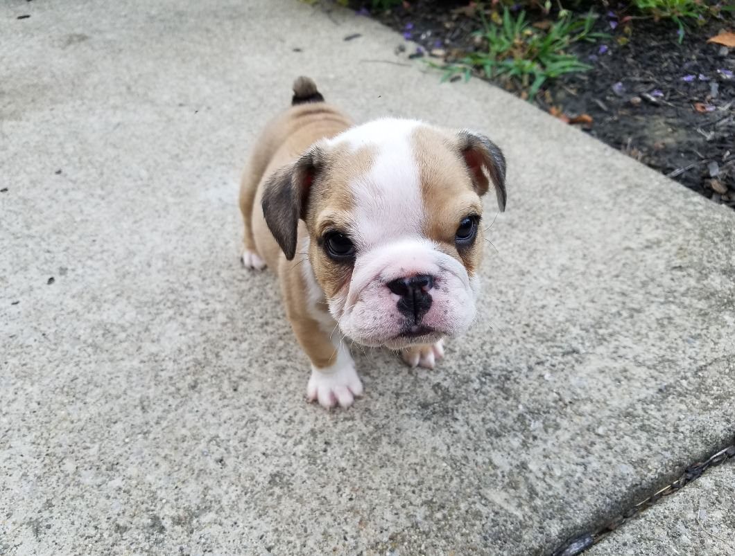 Looking a bit grumpy | Scrolller