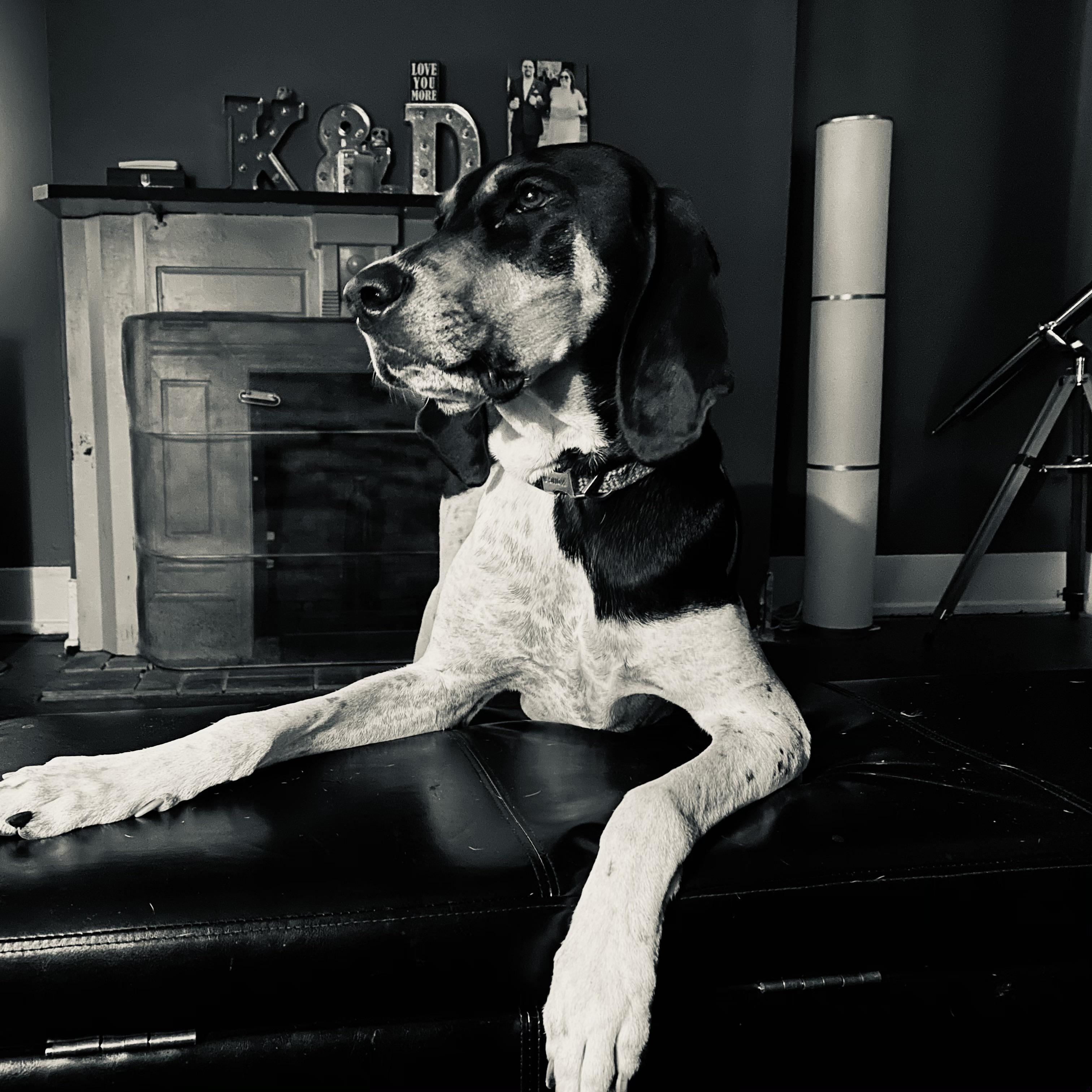 Looking distinguished | Scrolller