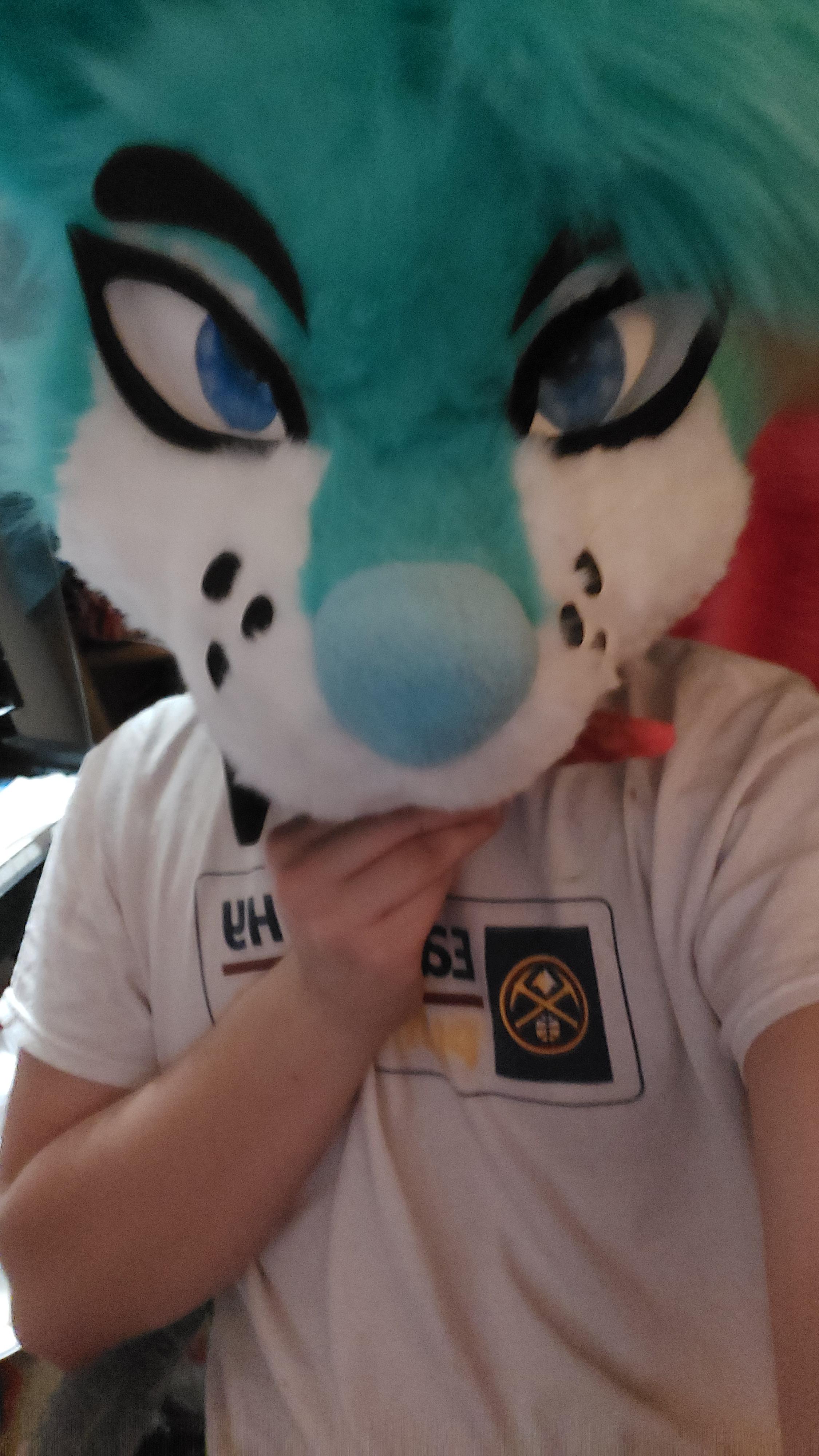 Looking for a bone to use~ dtf | Scrolller