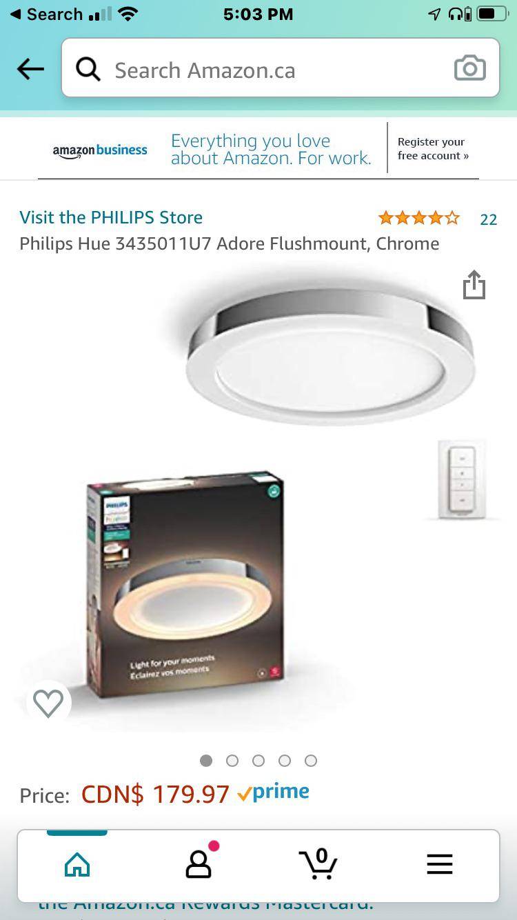 Looking for a flush mount that resembles a recessed light. Is this hue worth it? Any suggestions ...