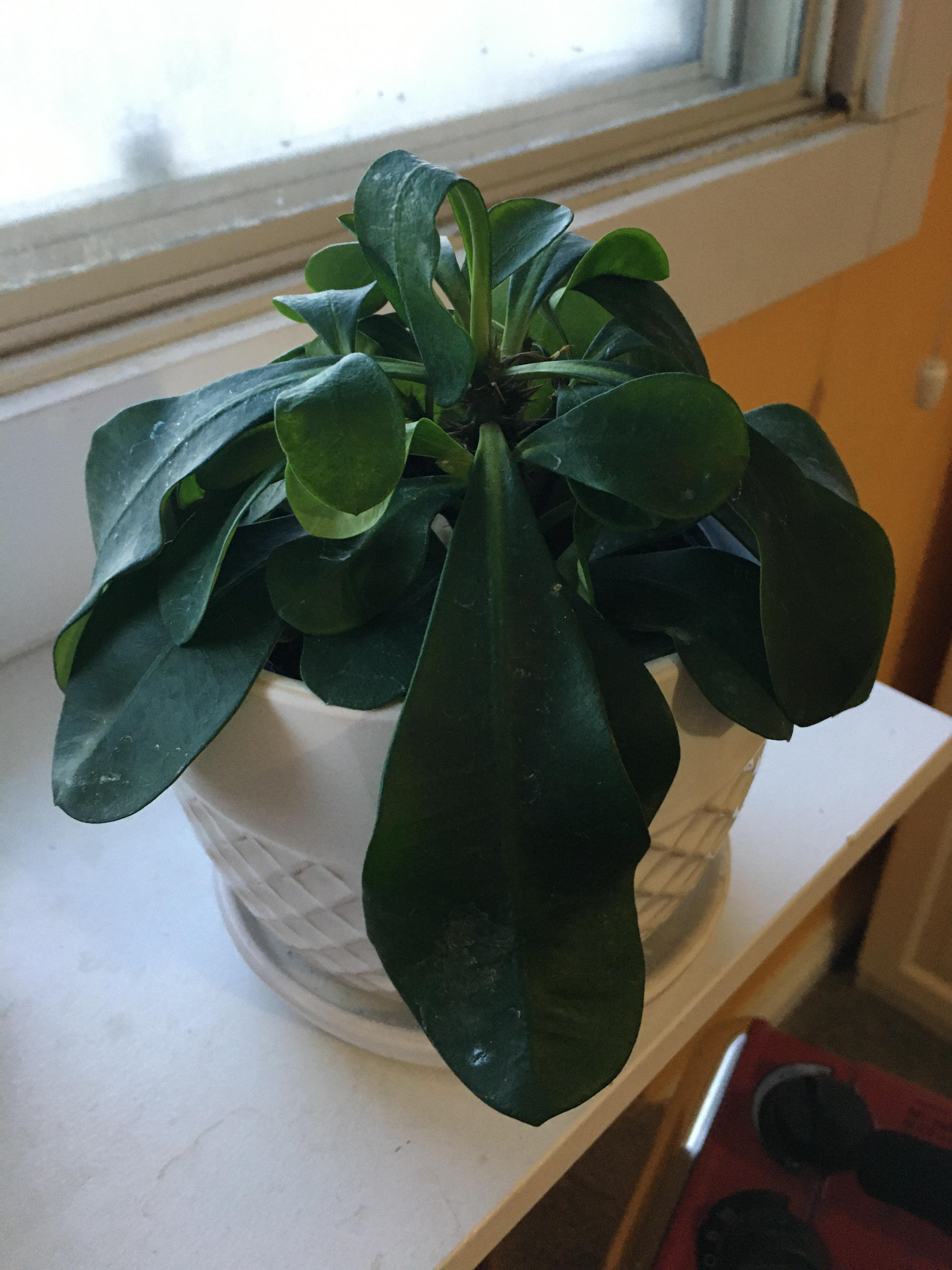 Looking for help! | Scrolller