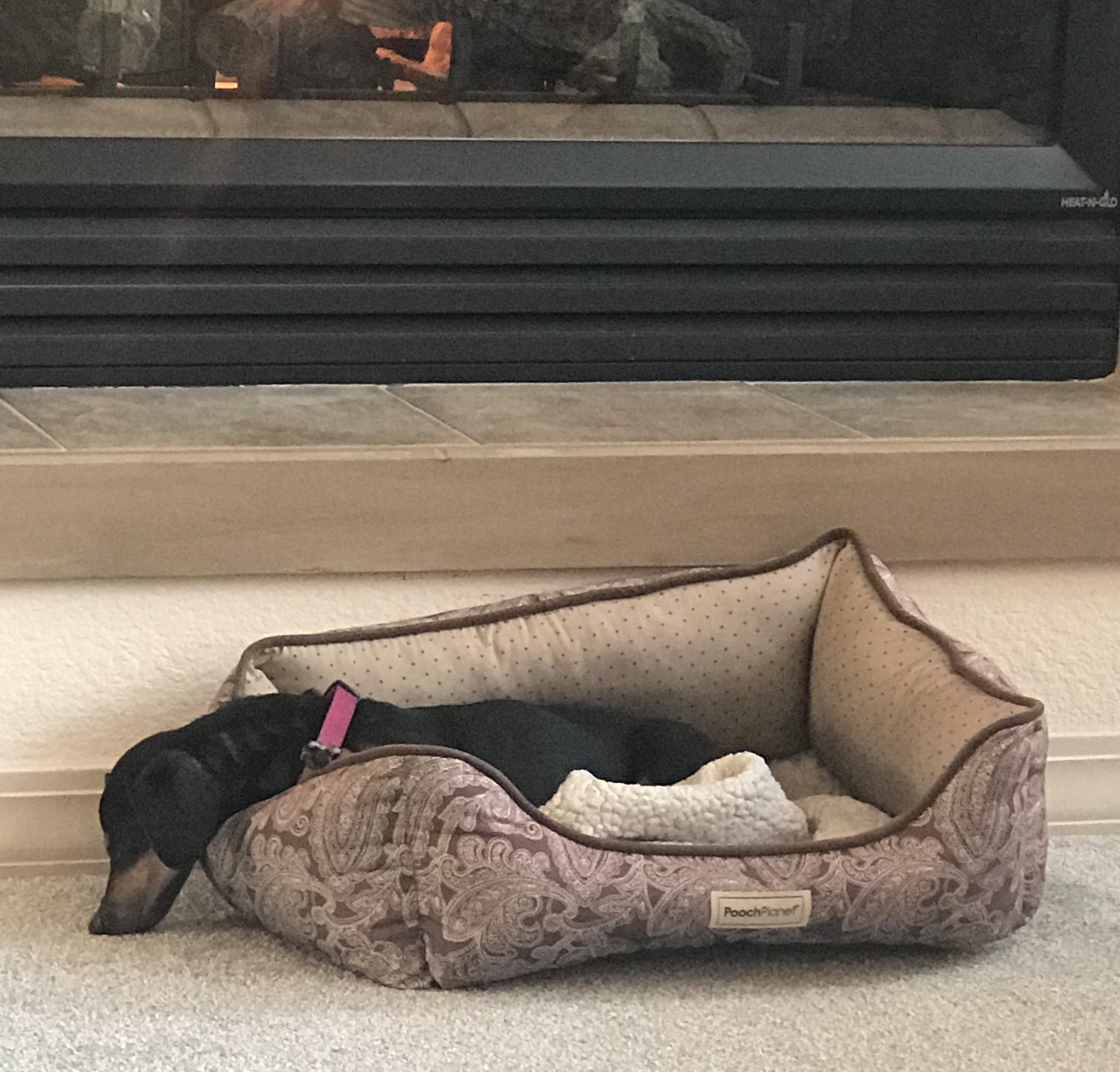 Looks comfy | Scrolller