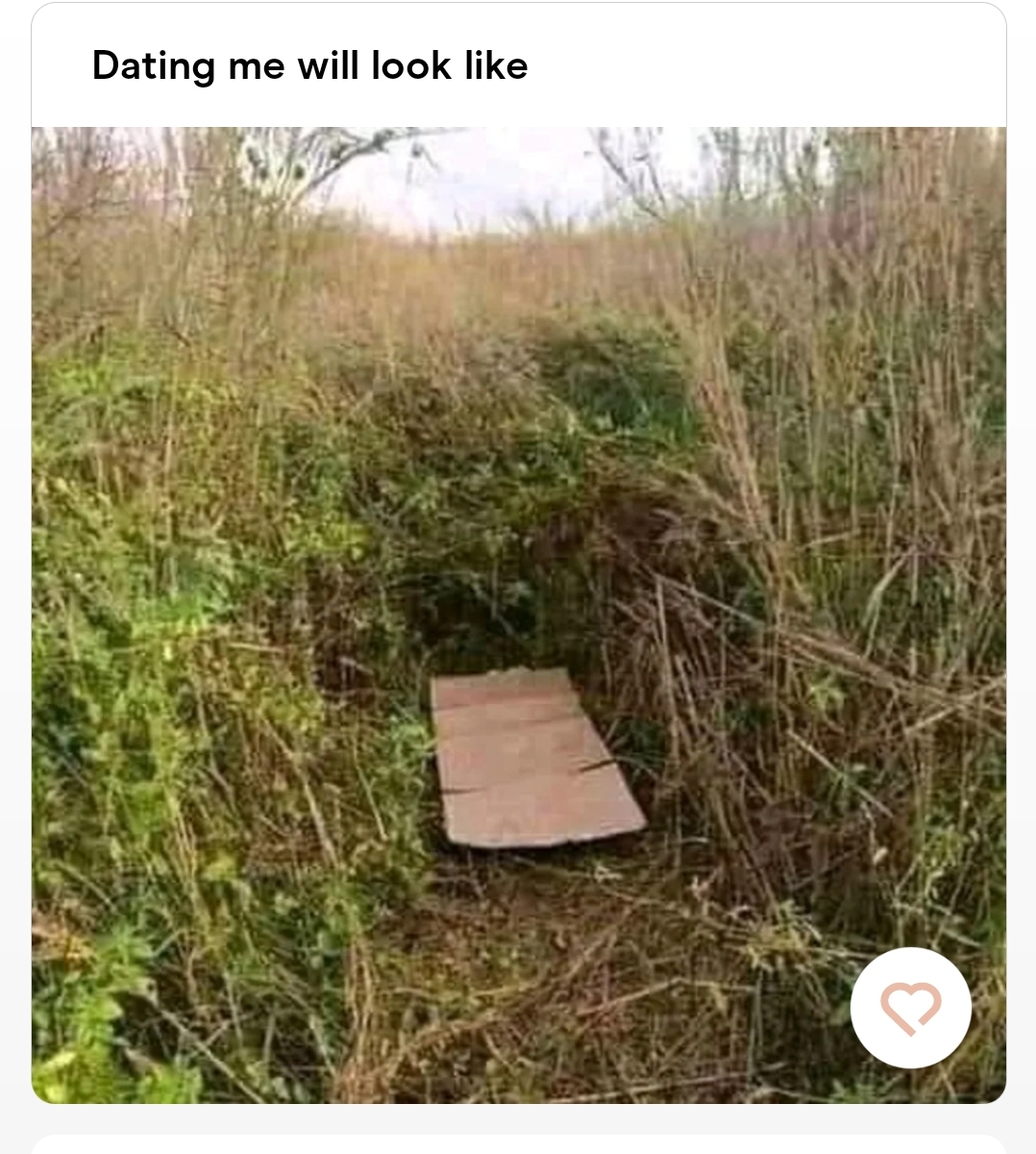 Looks like we're all set | Scrolller