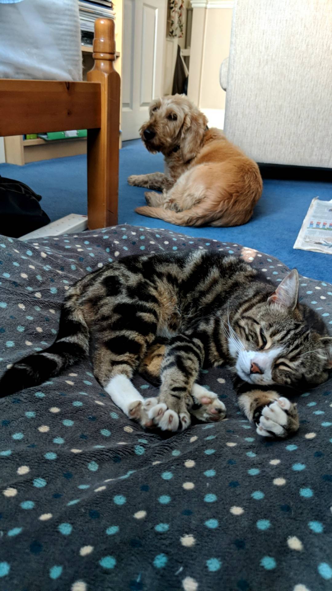 Looks so pleased with herself! | Scrolller