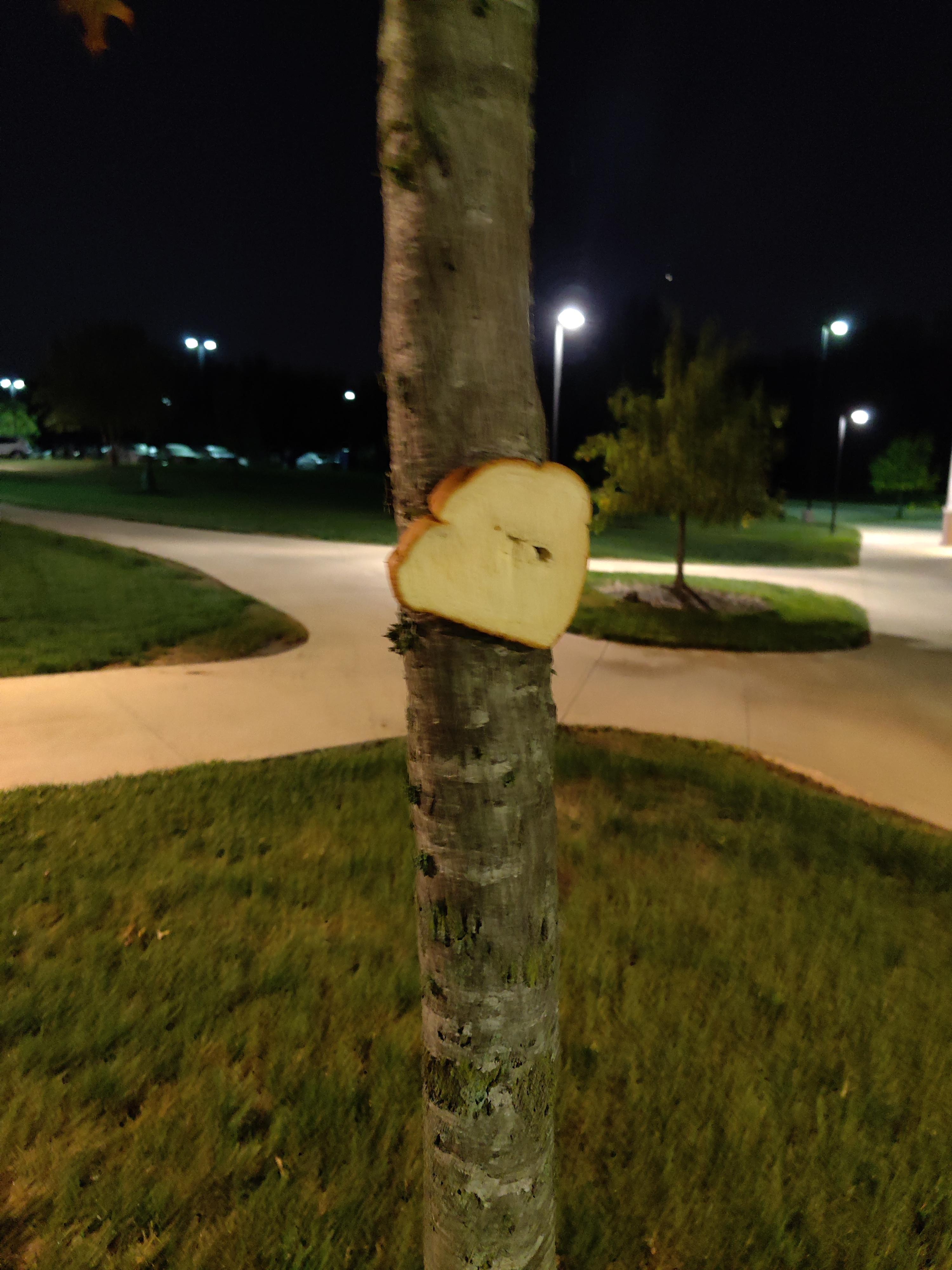 Losing my staple virginity. White on maple | Scrolller