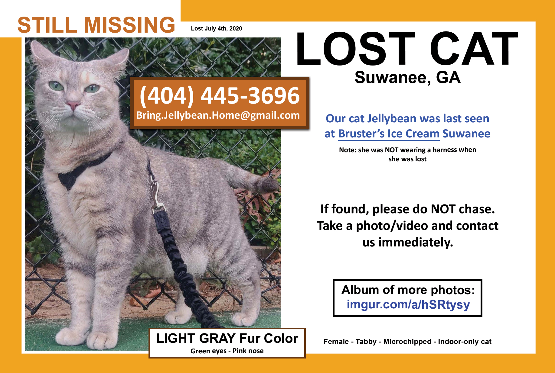 LOST CAT - Suwanee - GRAY tabby | Scrolller