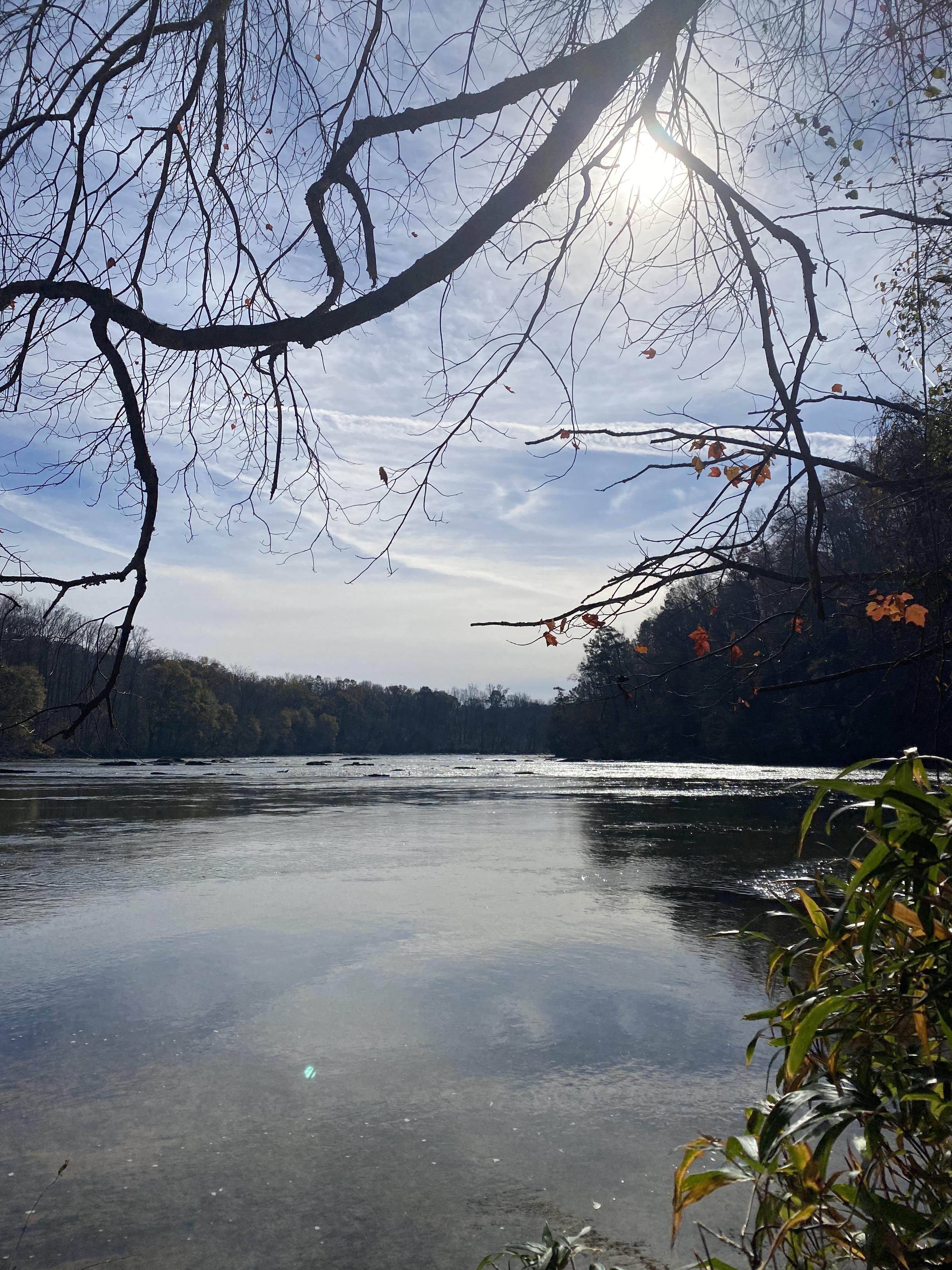Love catching the sun on the Chattahoochee | Scrolller