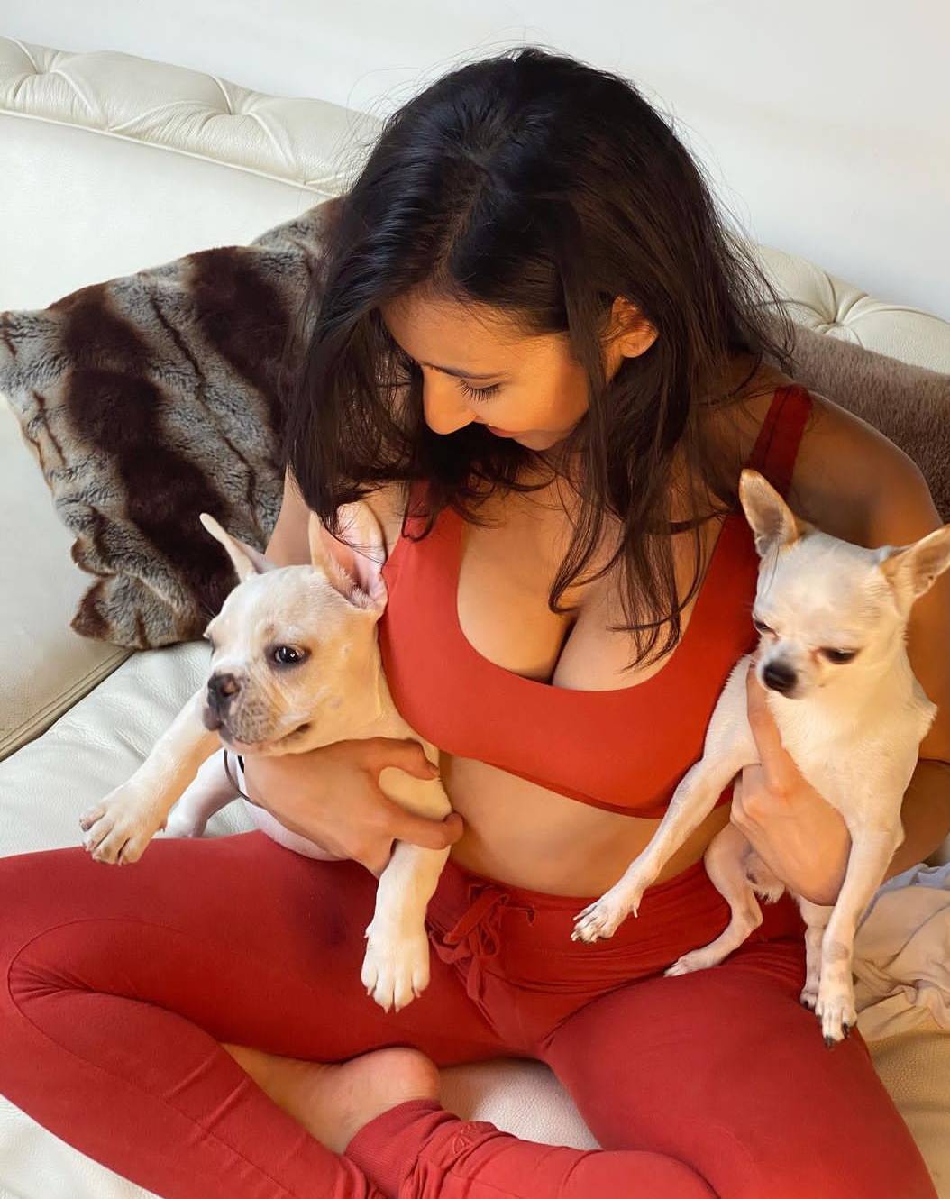 Love the 2 puppies hanging there | Scrolller