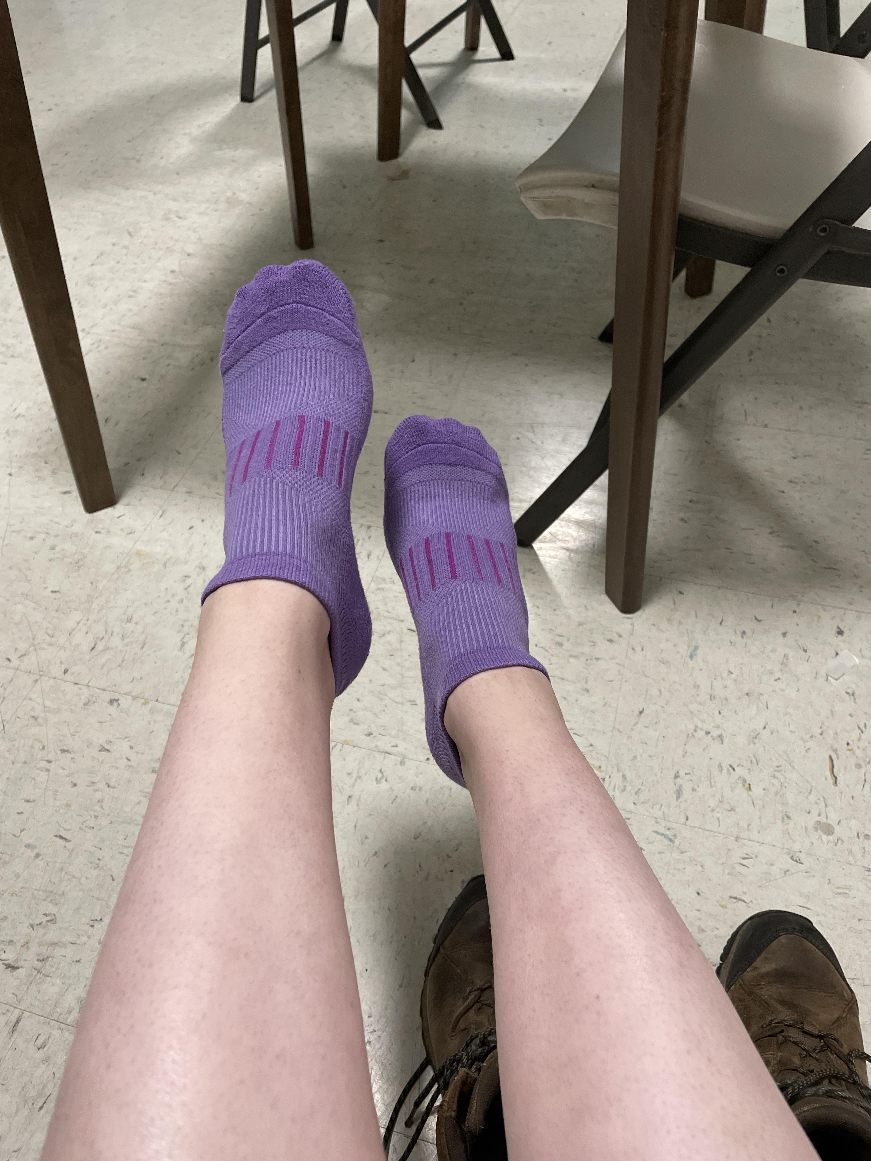 Lovely lavender | Scrolller