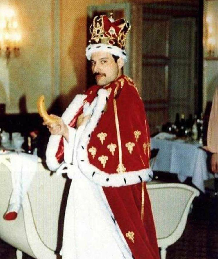 Lovely photo of Freddie | Scrolller