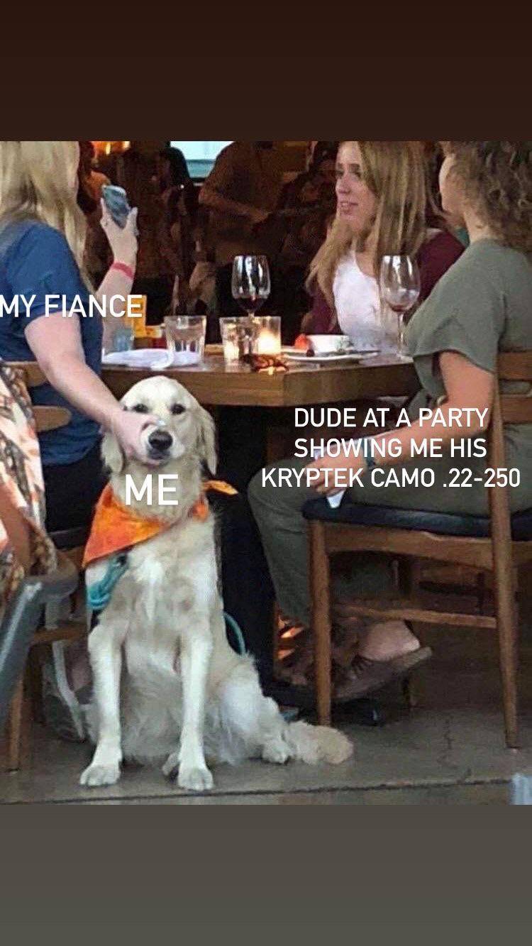 Low Effort, Original Content | Scrolller