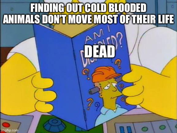 Low effort shitpost | Scrolller