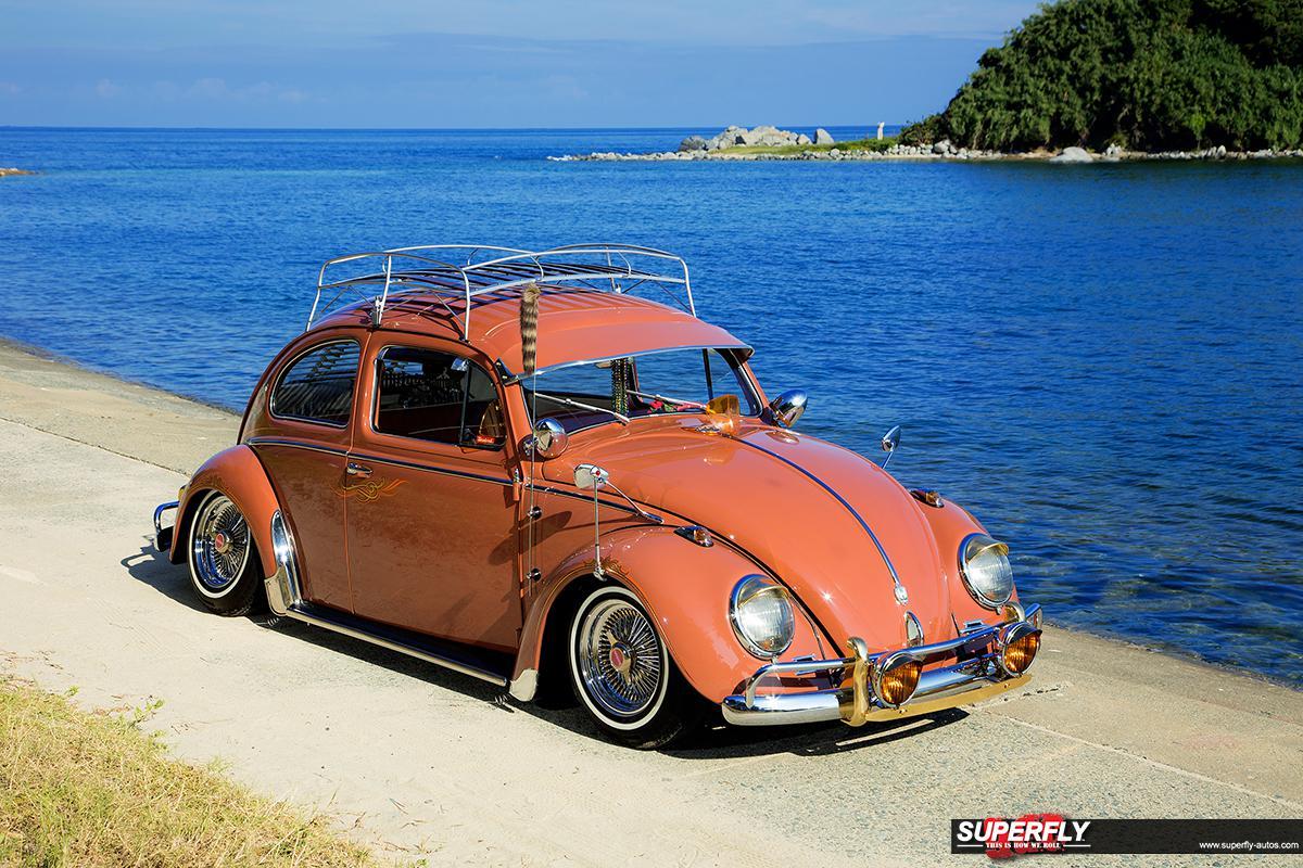 lowrider beetle | Scrolller