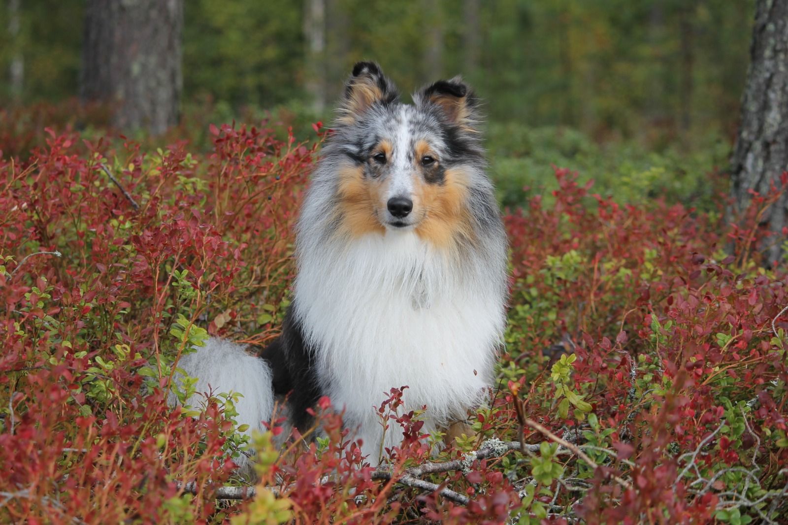 Luca and autumn colors are a perfect match. | Scrolller