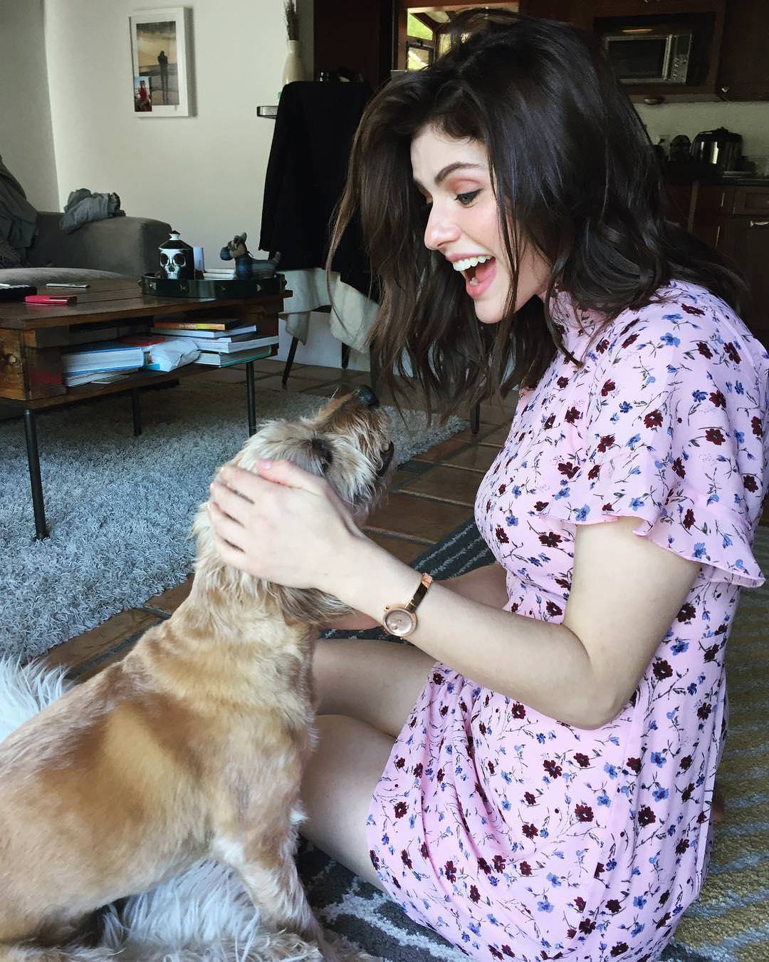 Lucky dog | Scrolller