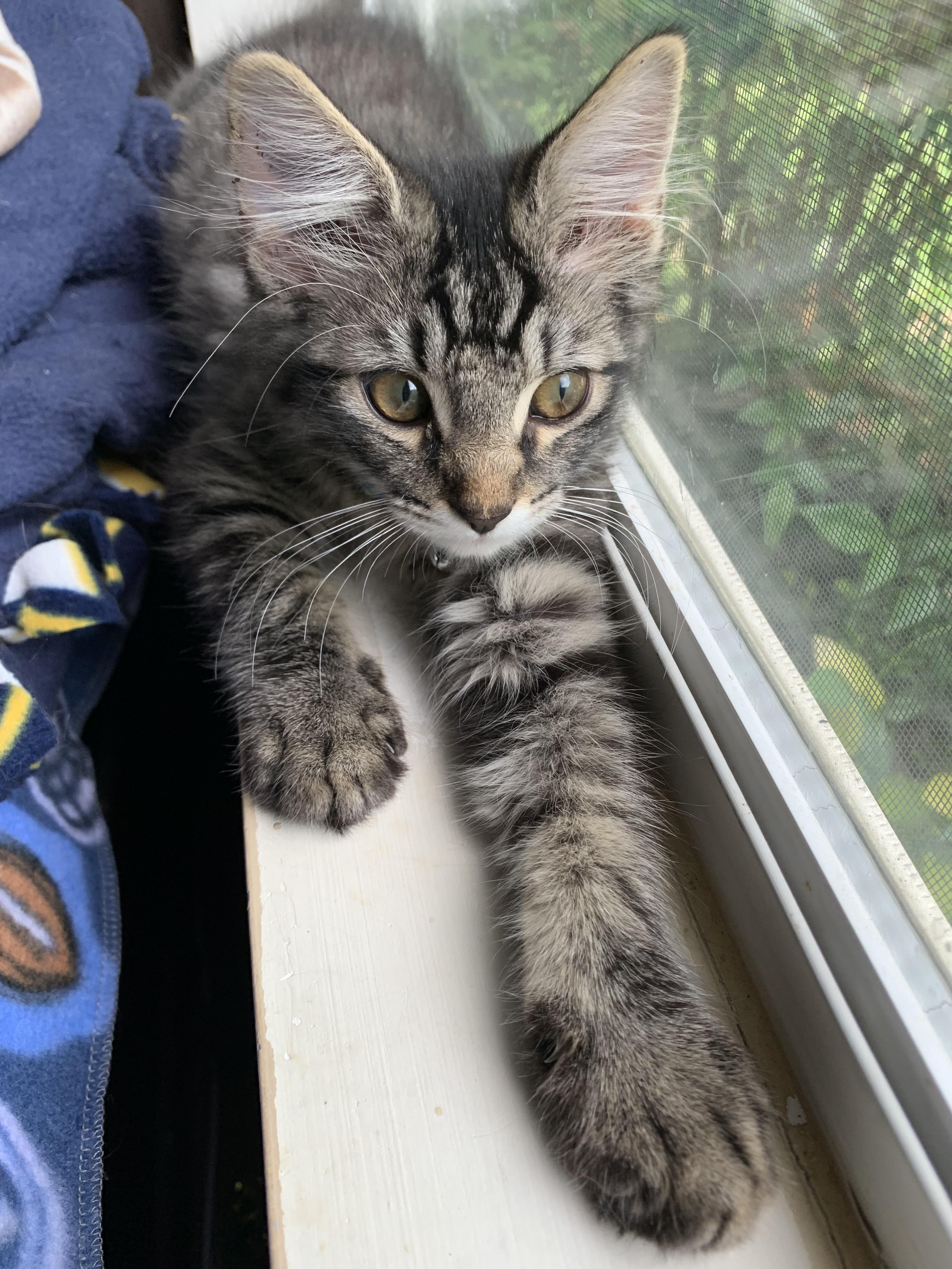 Lucy showing off her mini murder mittens | Scrolller