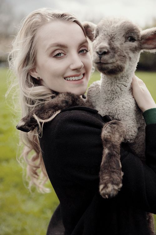 Luna and the Lamb | Scrolller