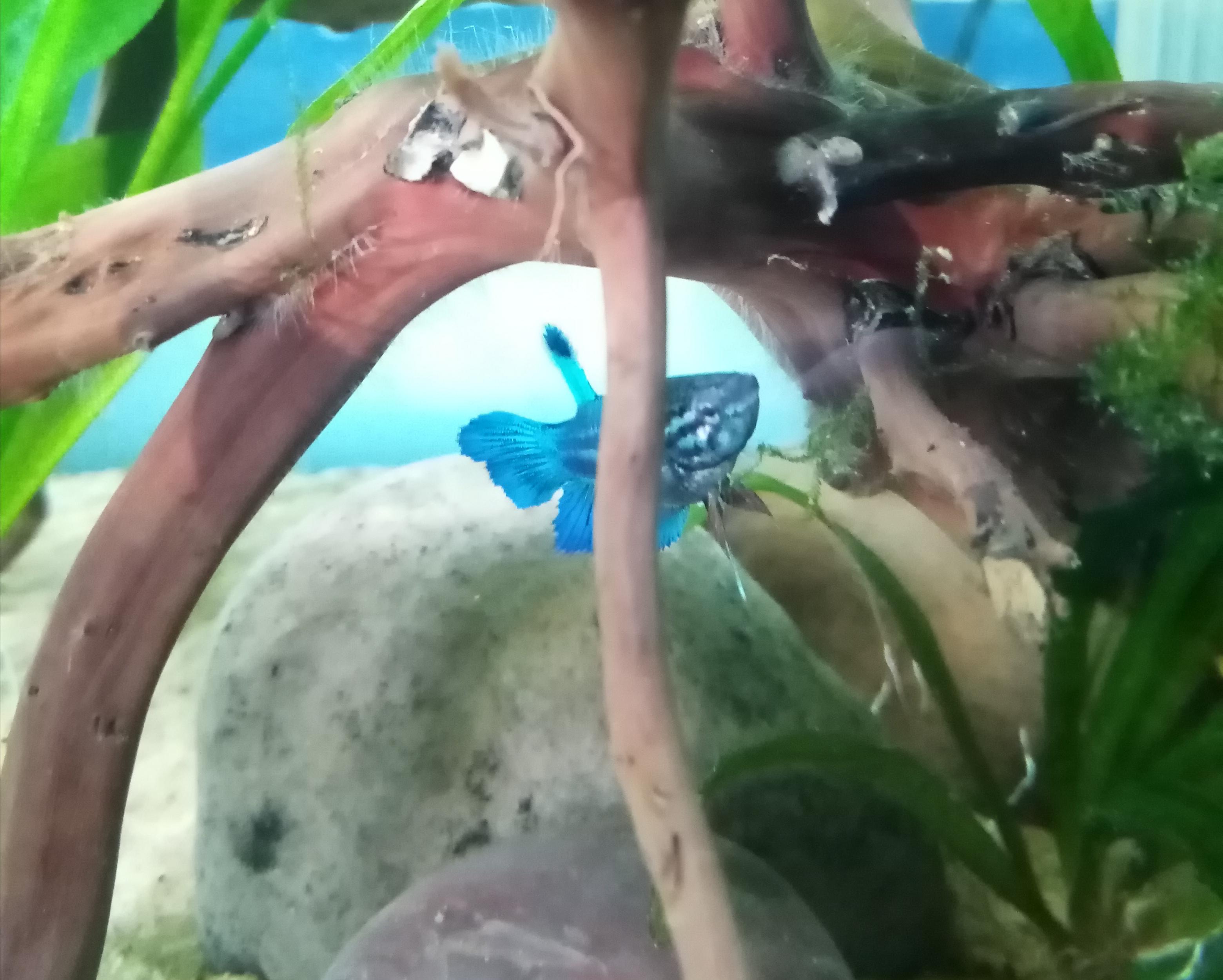 Luna exploring her rocky area 😁 | Scrolller