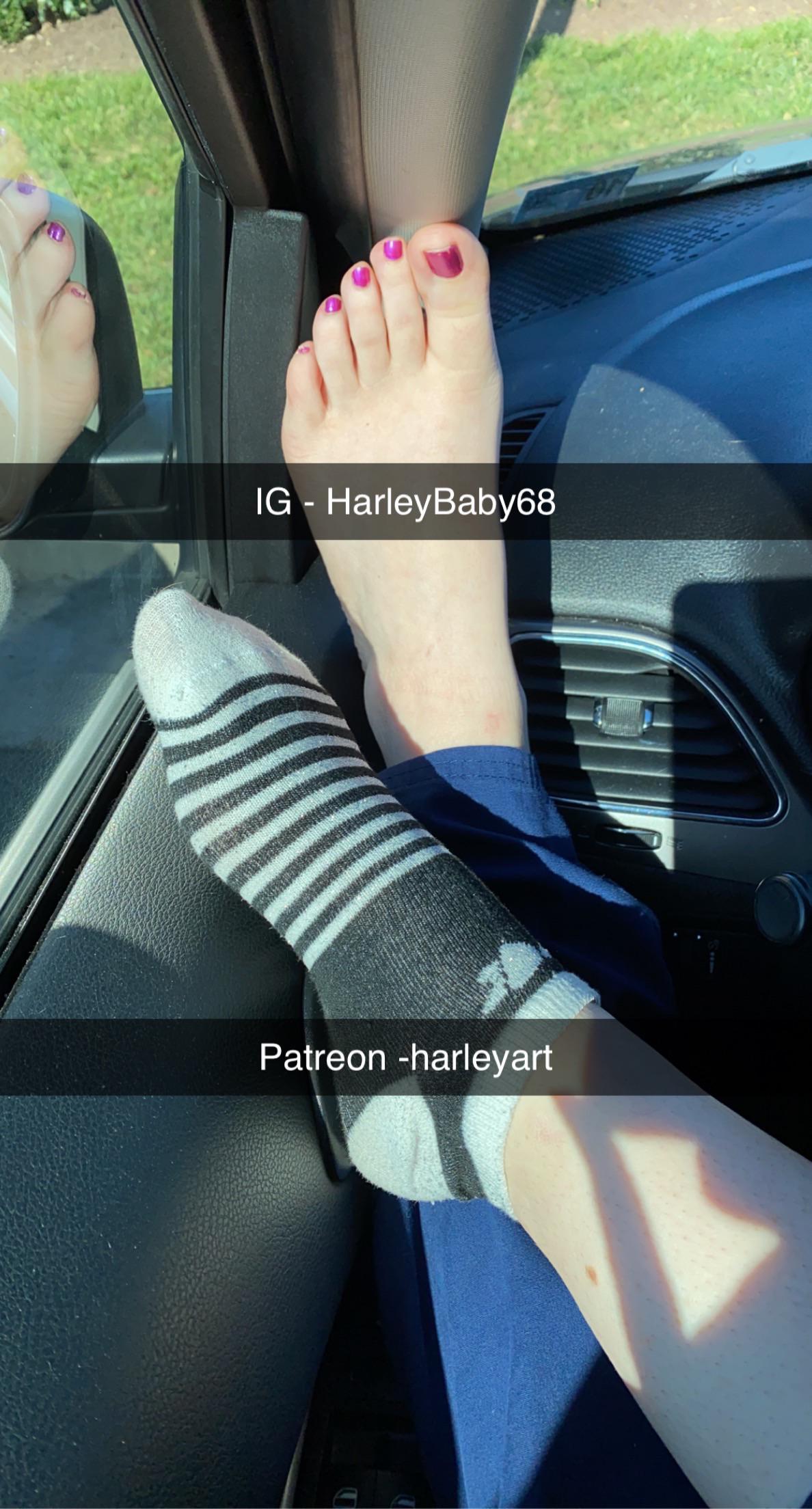 Lunch break piggies | Scrolller